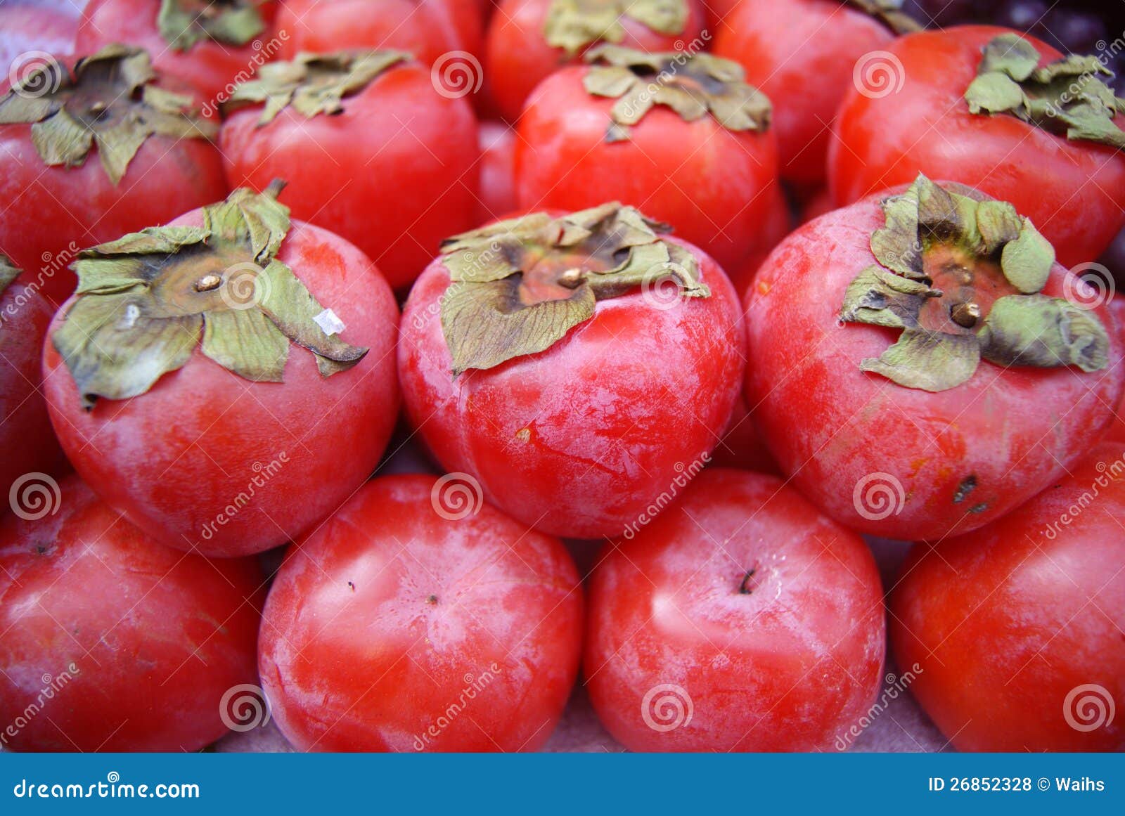 Cachi fotografia stock. Immagine di cachi, frutta, alimento - 26852328