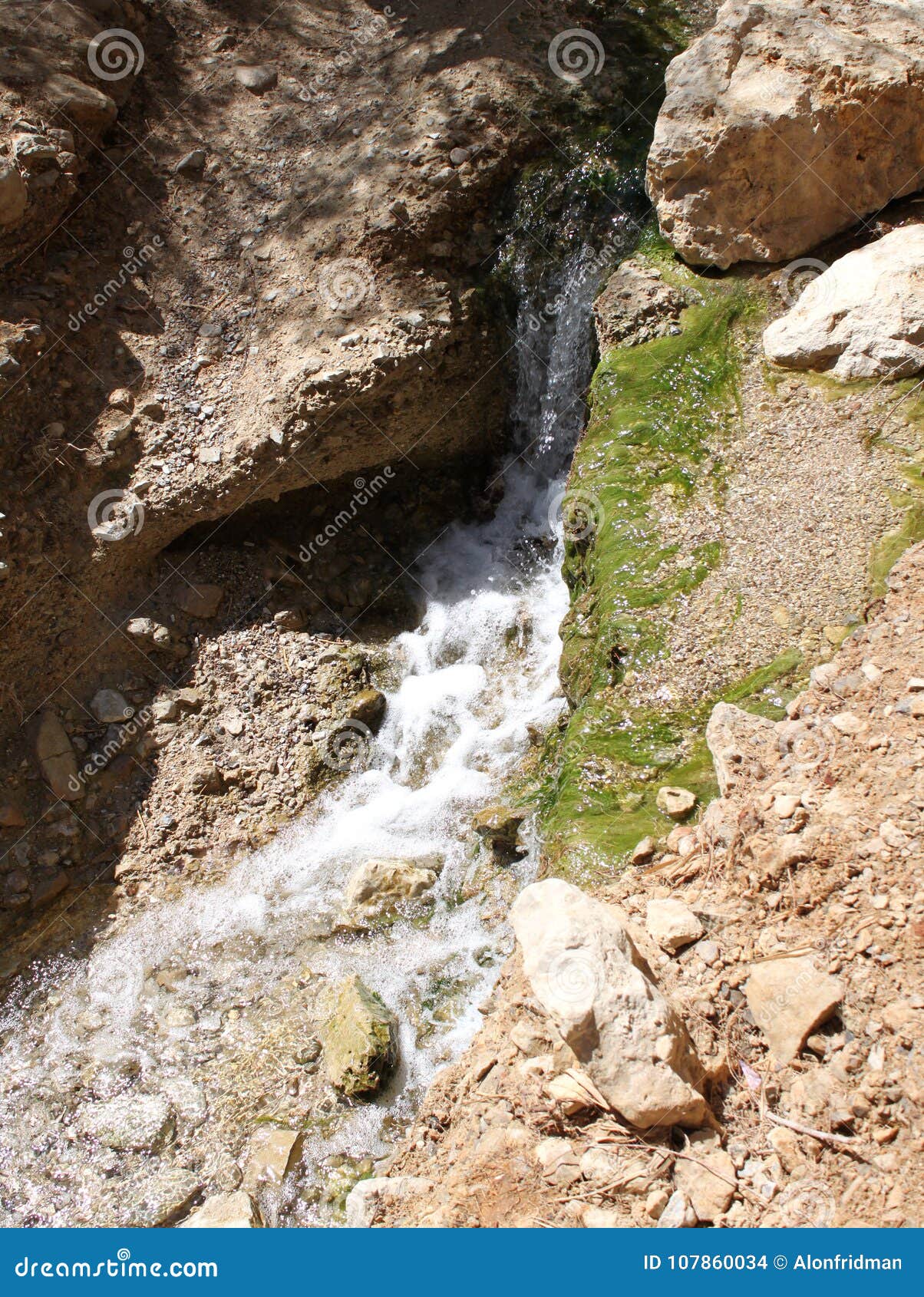 Cachoeira Do Ribeiro De Ein Bokek, O Mar Morto Foto de Stock - Imagem de oriental, curso: 107860034