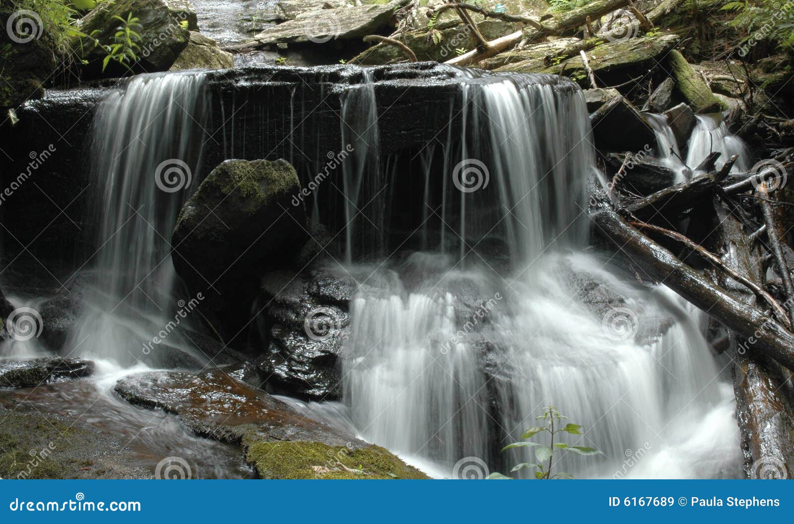 Cachoeira Em Ravina Do Decano Imagem de Stock - Imagem de madeiras ...