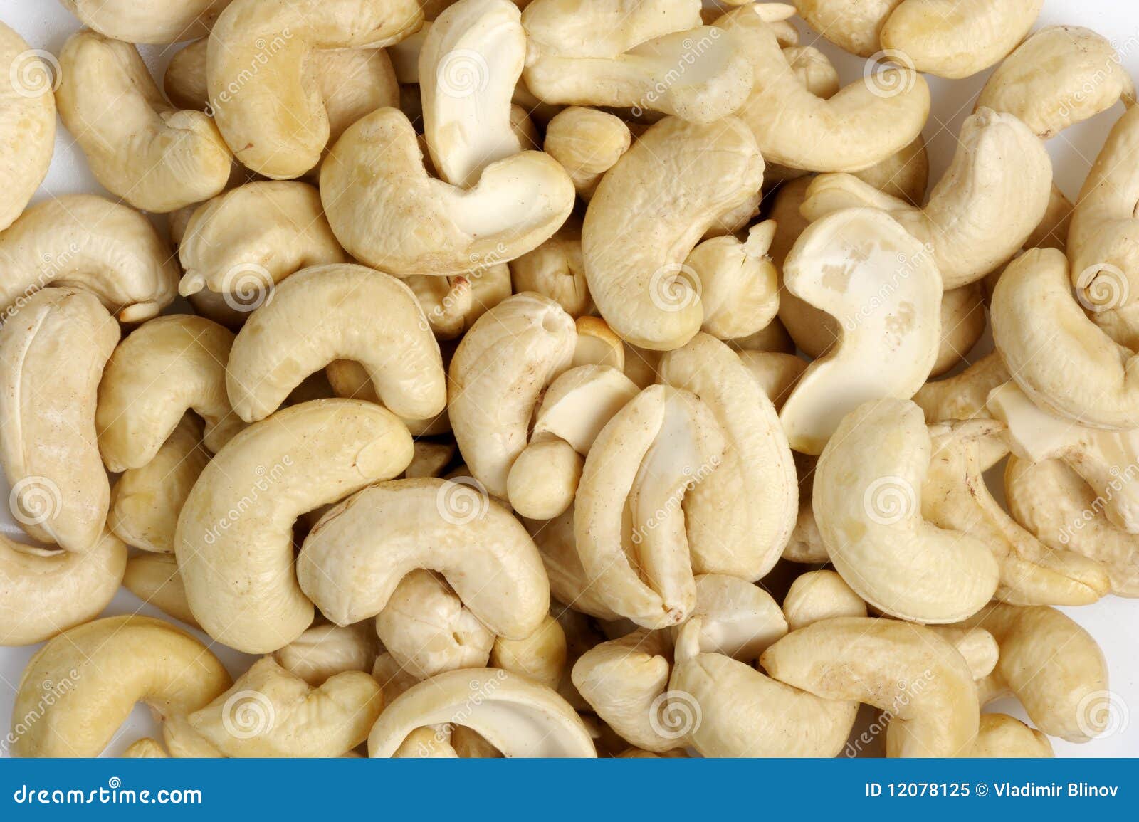 Cachou stock afbeelding. Image of gezond, groep, nave - 12078125