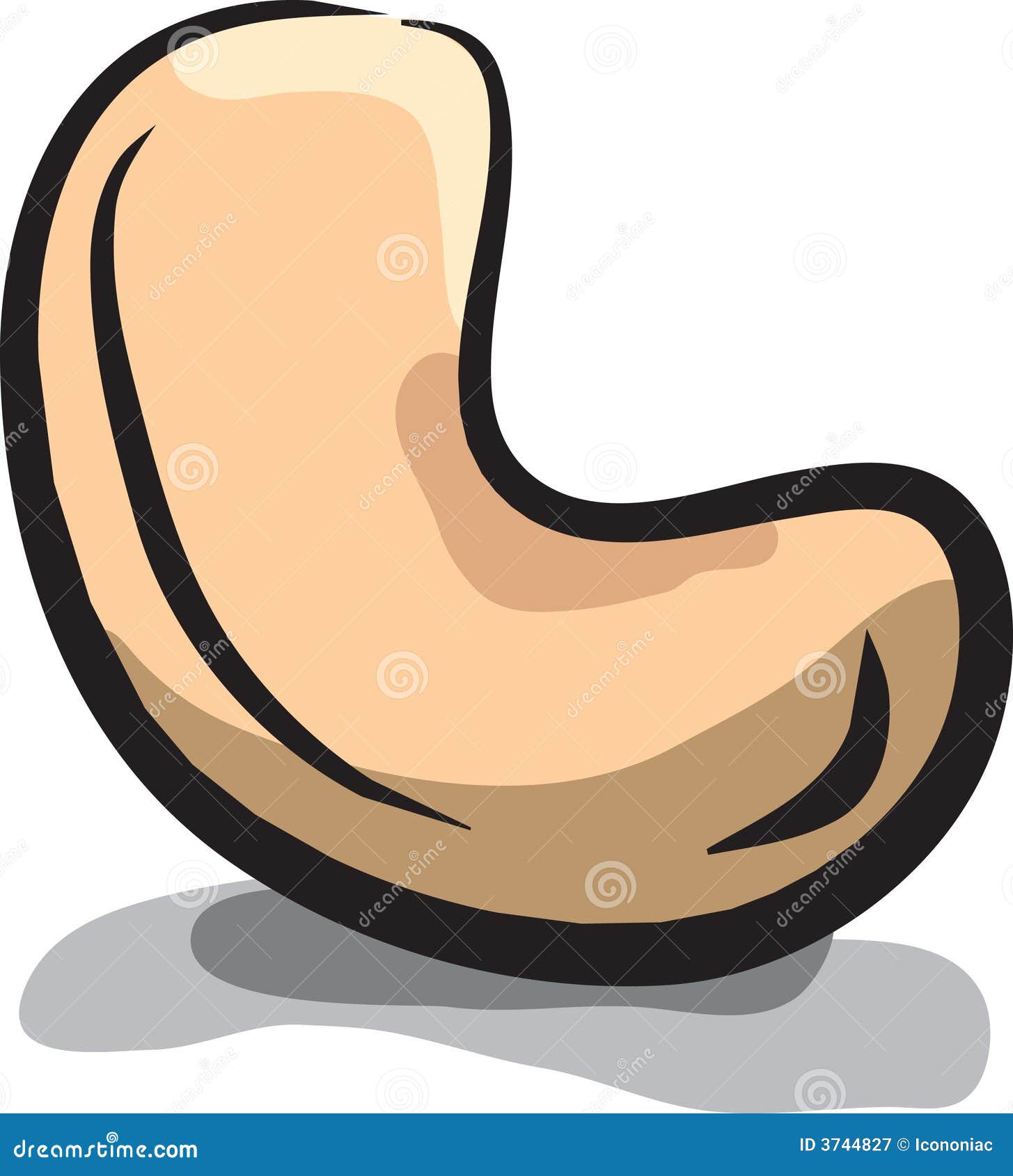 Cachou vector illustratie. Illustration of één, cachou - 3744827