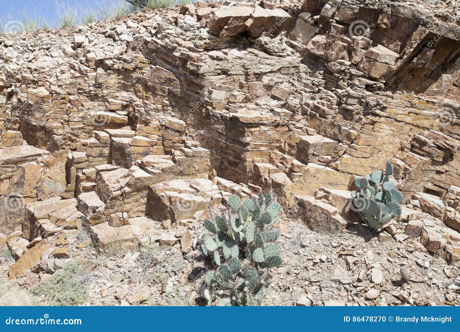 Cacti and Monolithic Rocks stock photo. Image of boulders - 86478270