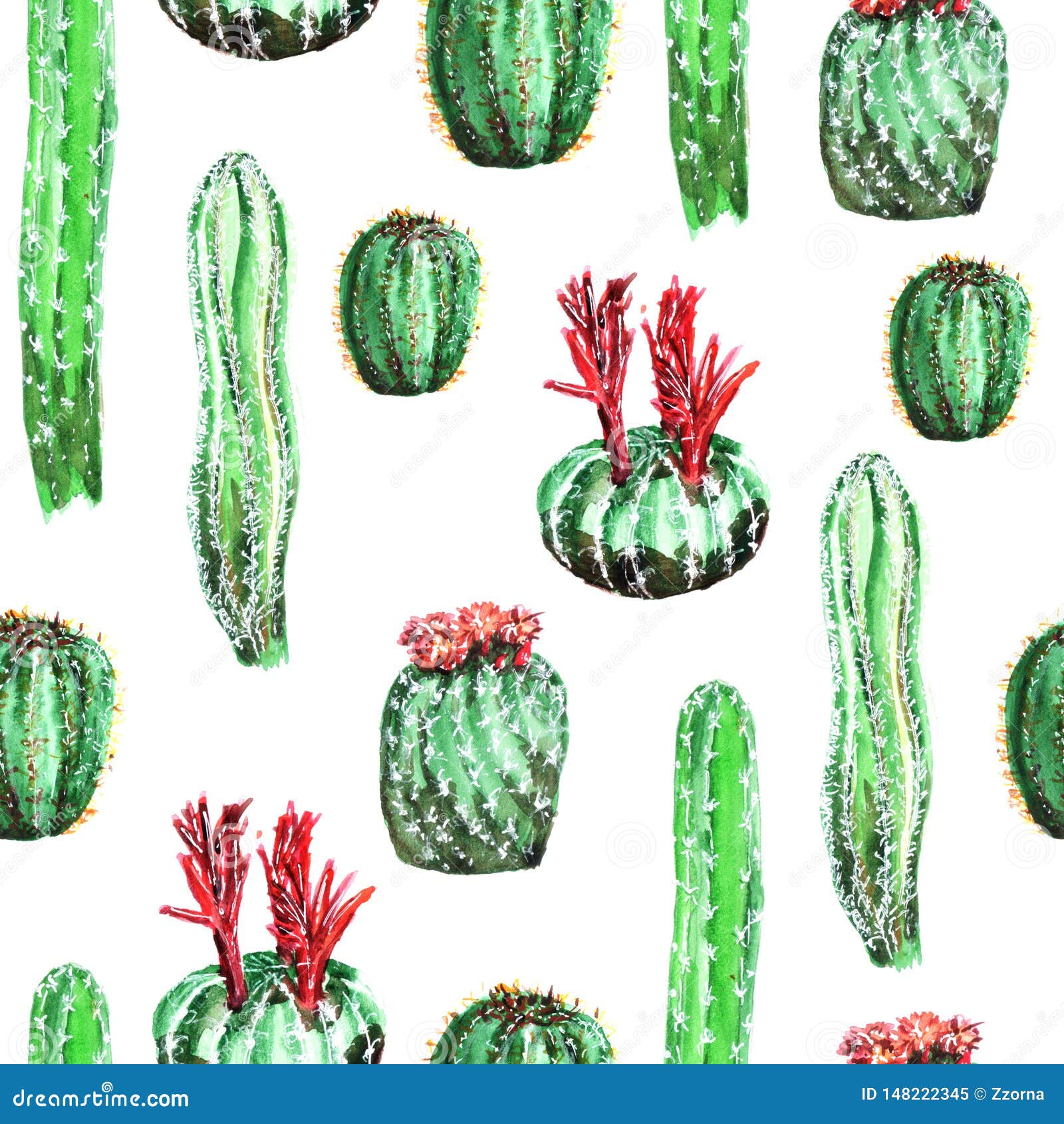 Cacti pattern stock image. Image of green, cute, mexican - 148222345