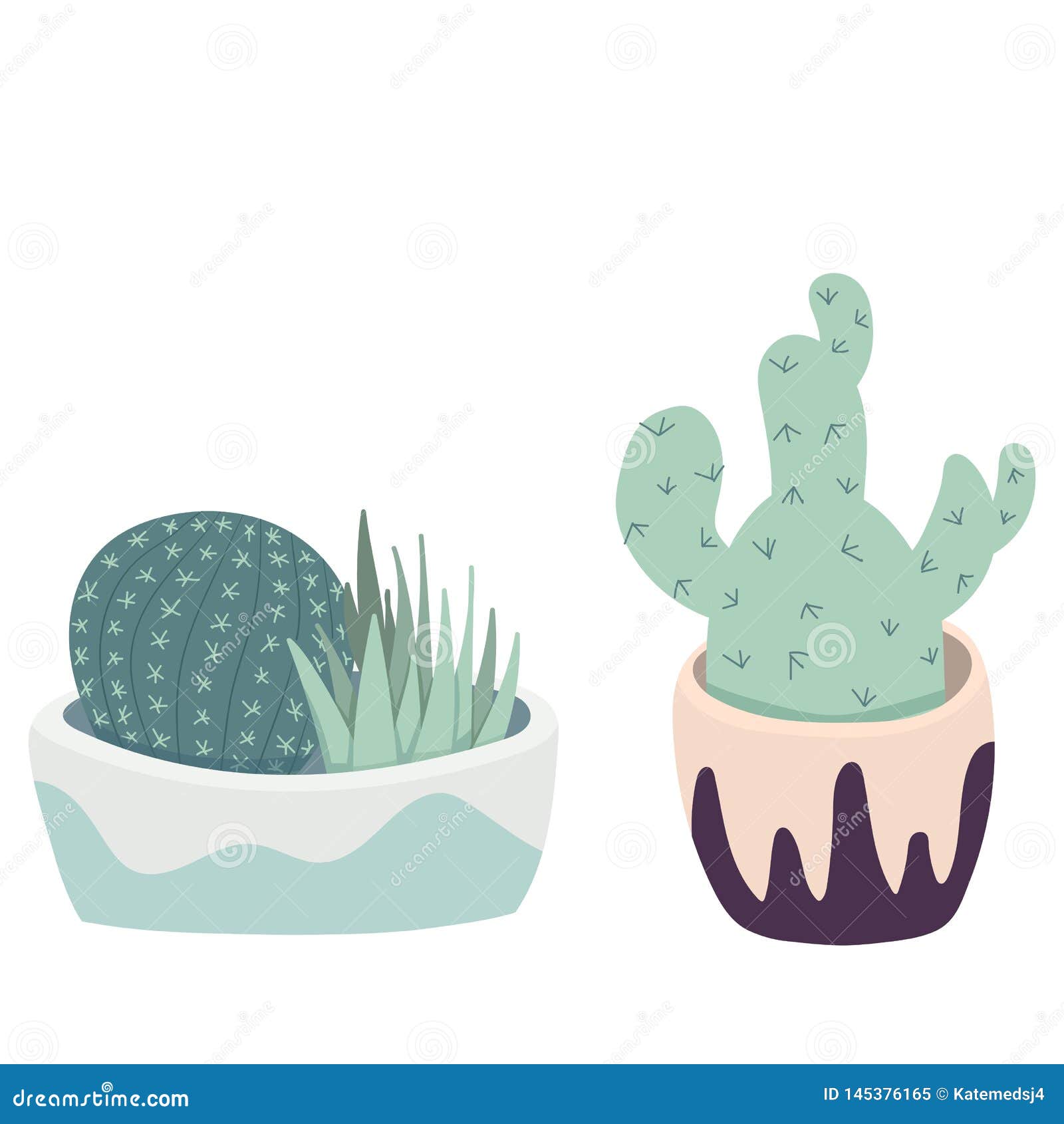 Vector Cactus Illustration. Set of Two Vector Succulents. Potted Cactus ...