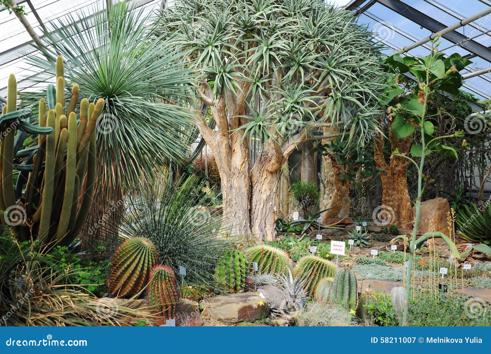 Cactus Botanical Garden editorial photography. Image of covered - 58211007