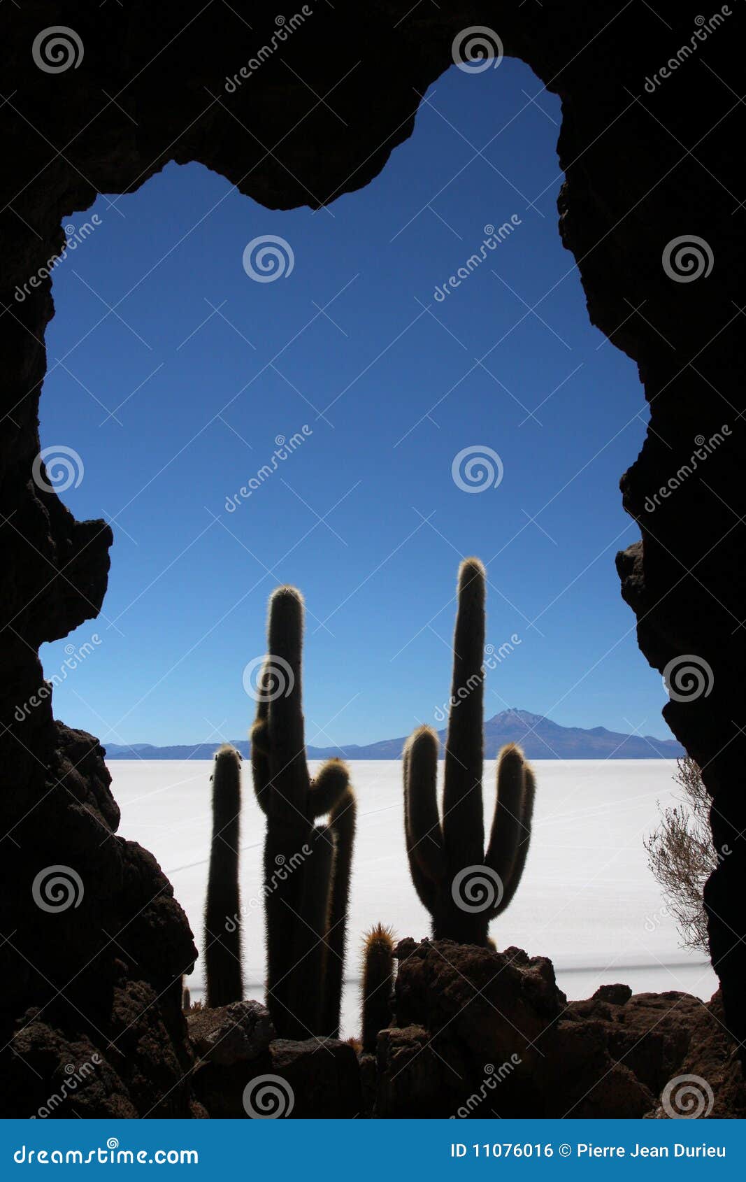 Cactus from a Cave Over the Salar De Uyuni Stock Photo - Image of cave ...