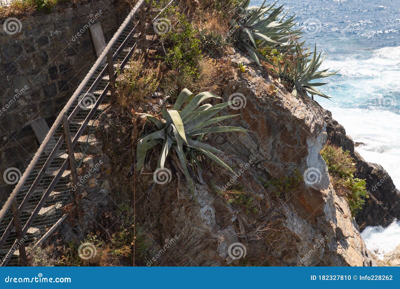 Cactus, Cliffs and Pacific Ocean Waves Stock Photo - Image of canary ...