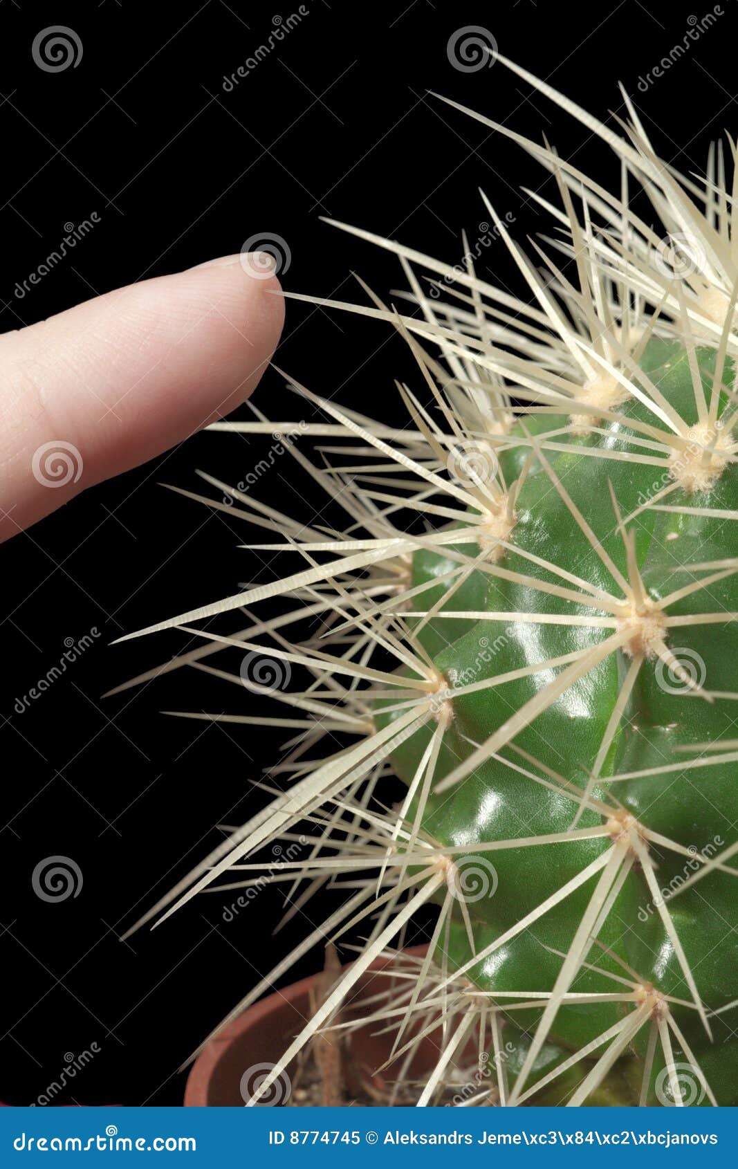 Cactus And Finger, Danger! Royalty-Free Stock Image | CartoonDealer.com ...
