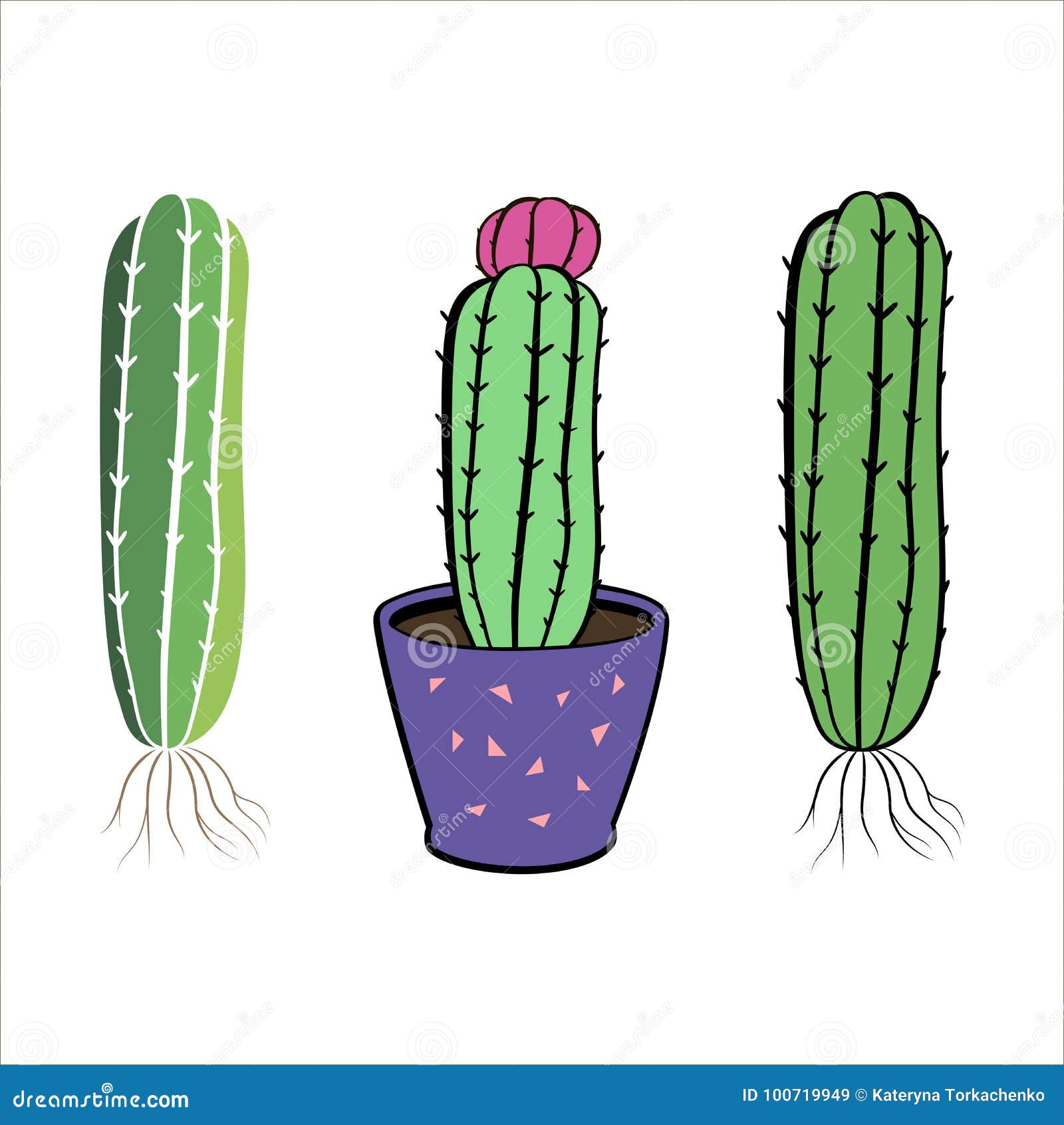 Cactus Flower Set Hand Drawn Cacti Home Plant Collection Stock Vector