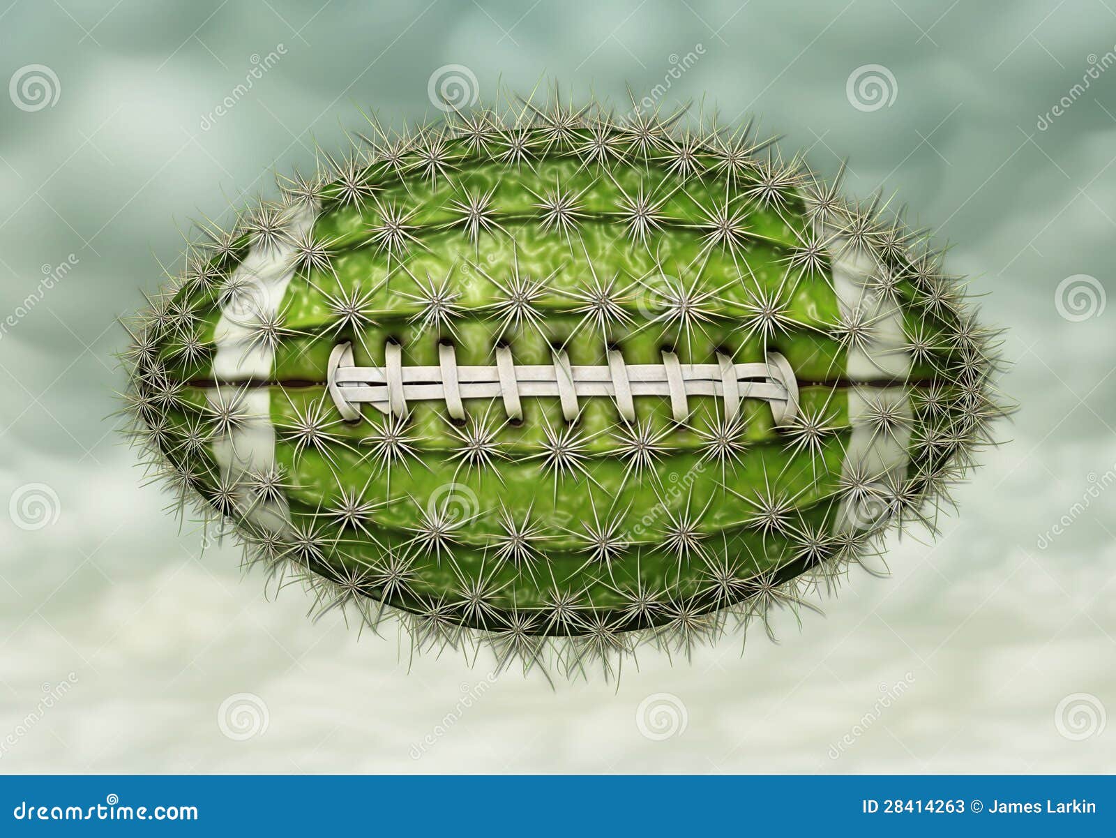 Cactus Football stock image. Image of pastime, game, pigskin - 28414263