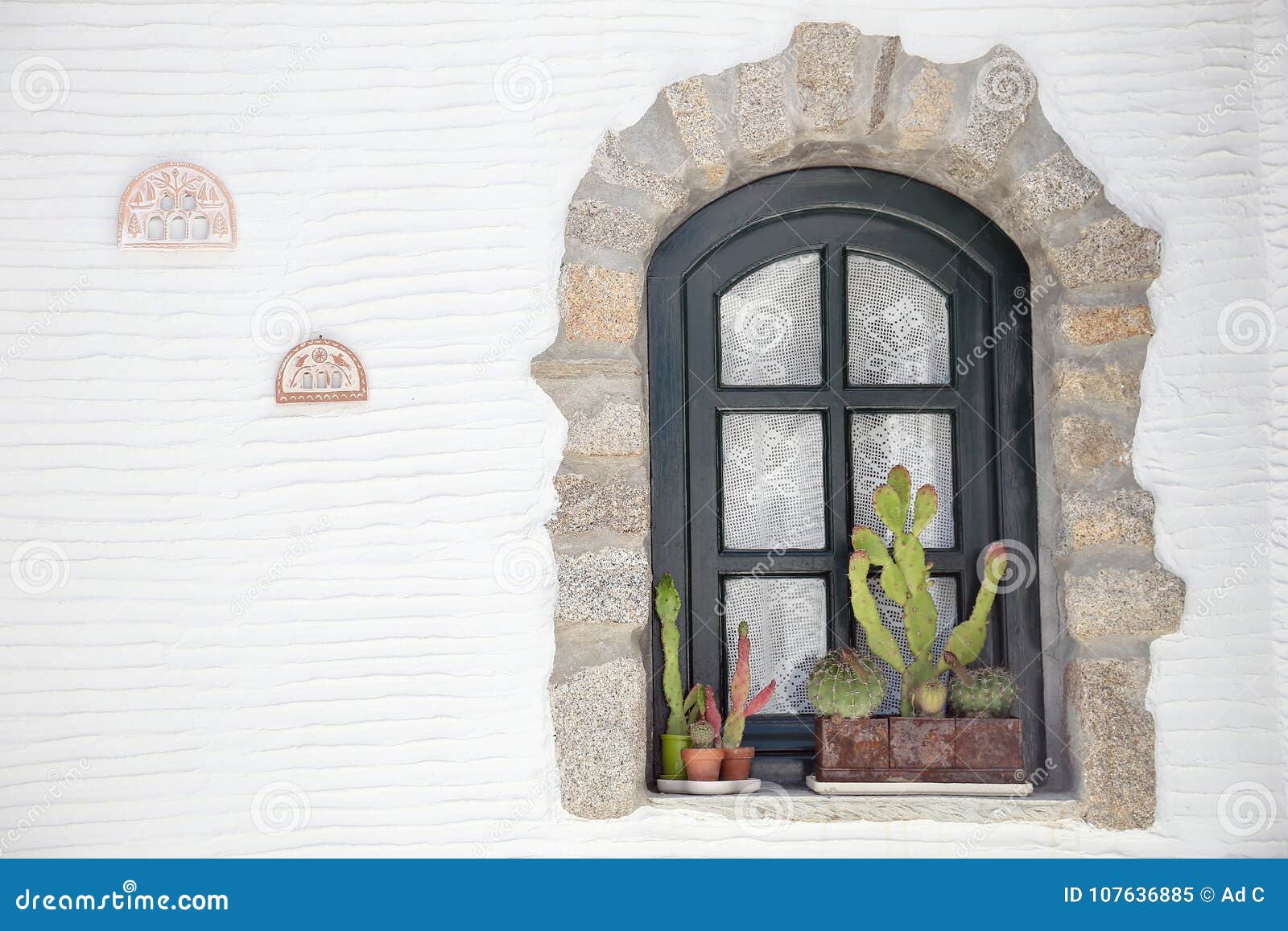 Cactus in Front of a Window Stock Image - Image of windows, detail ...