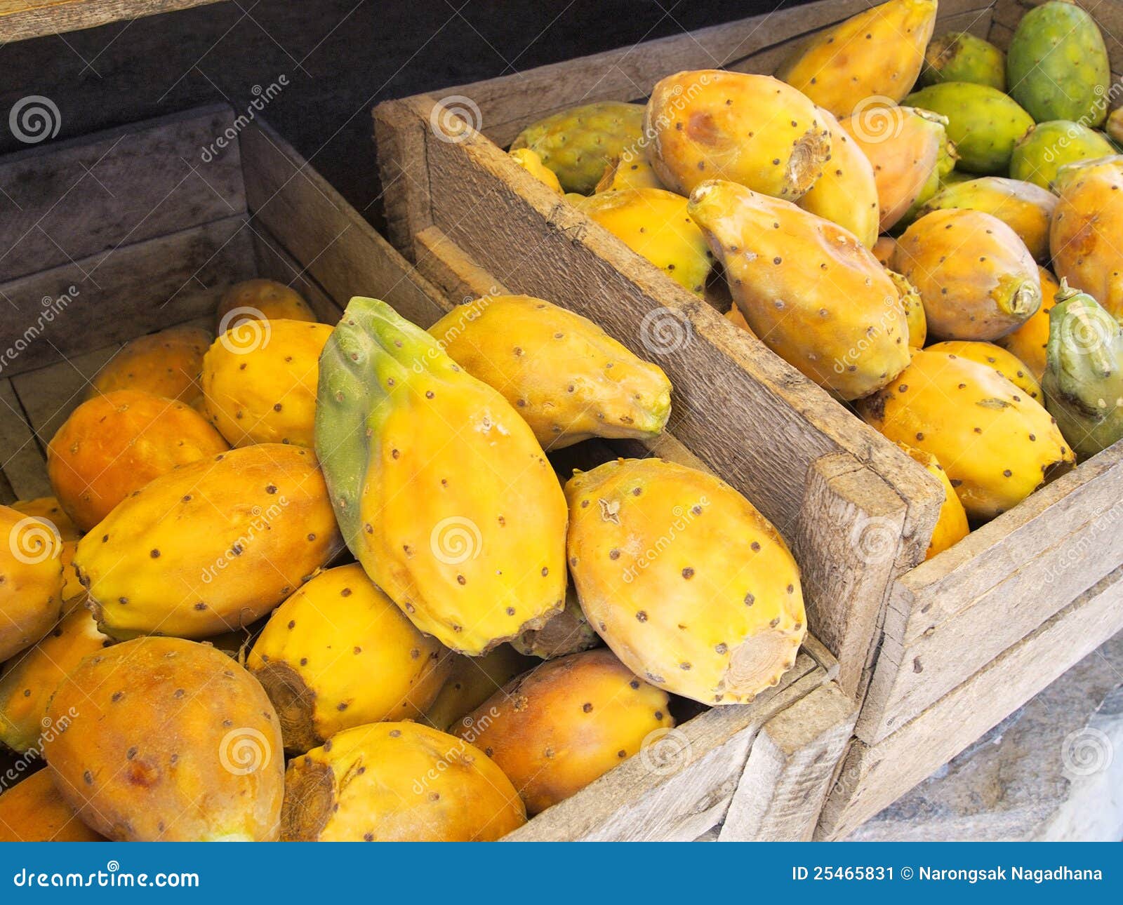 Cactus fruits in crate stock image. Image of opuntia - 25465831