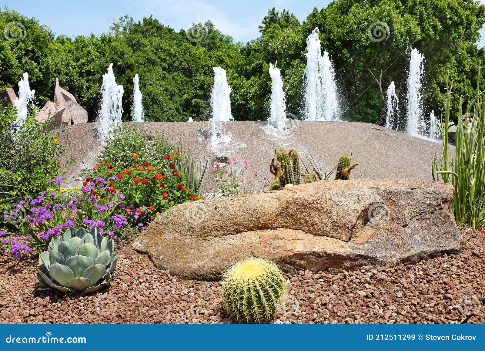 Cactus Garden with Fountain in the Background Stock Image - Image of ...