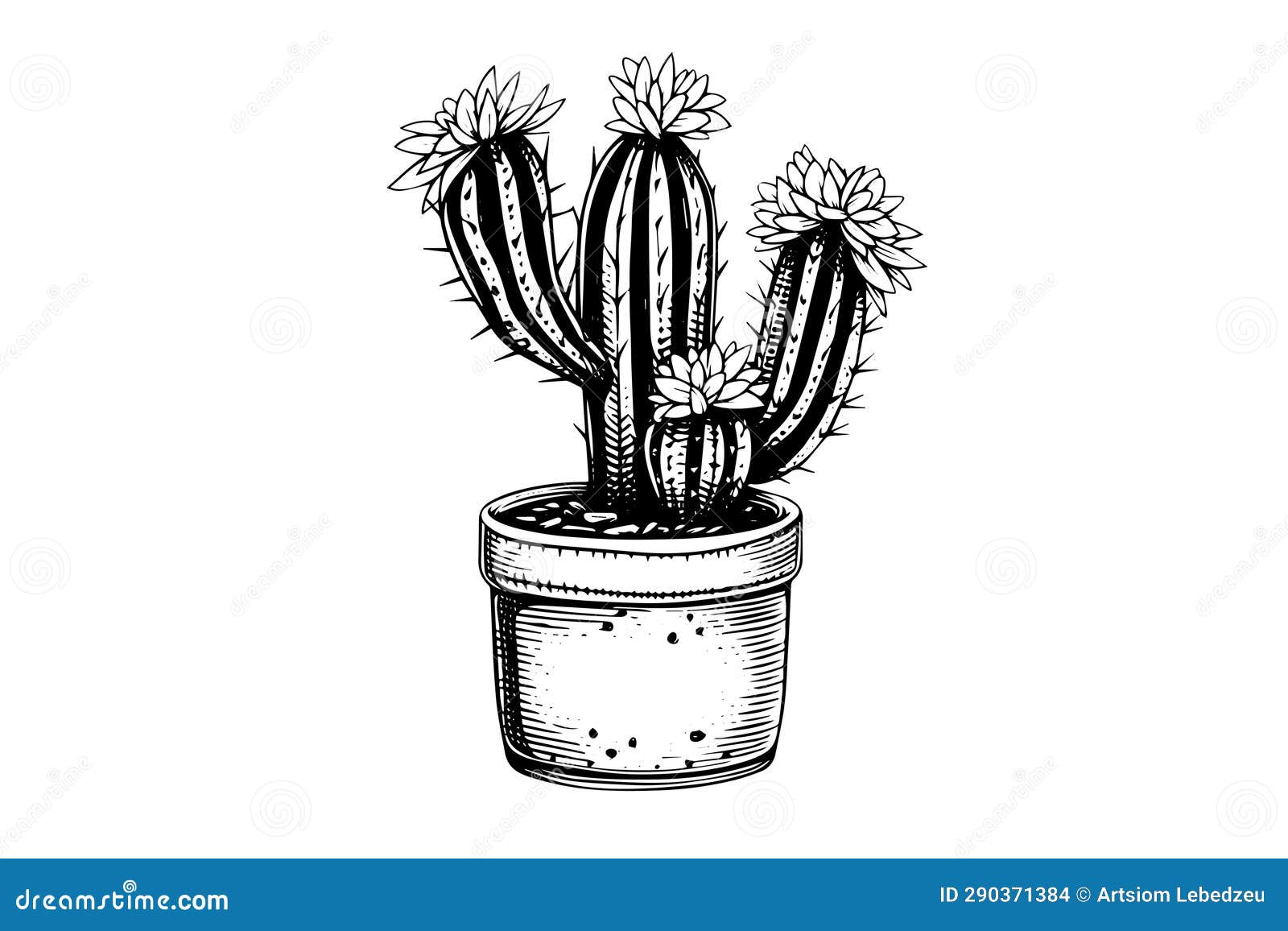 Cactus Hand Drawn Ink Sketch. Engraving Style Vector Illustration ...