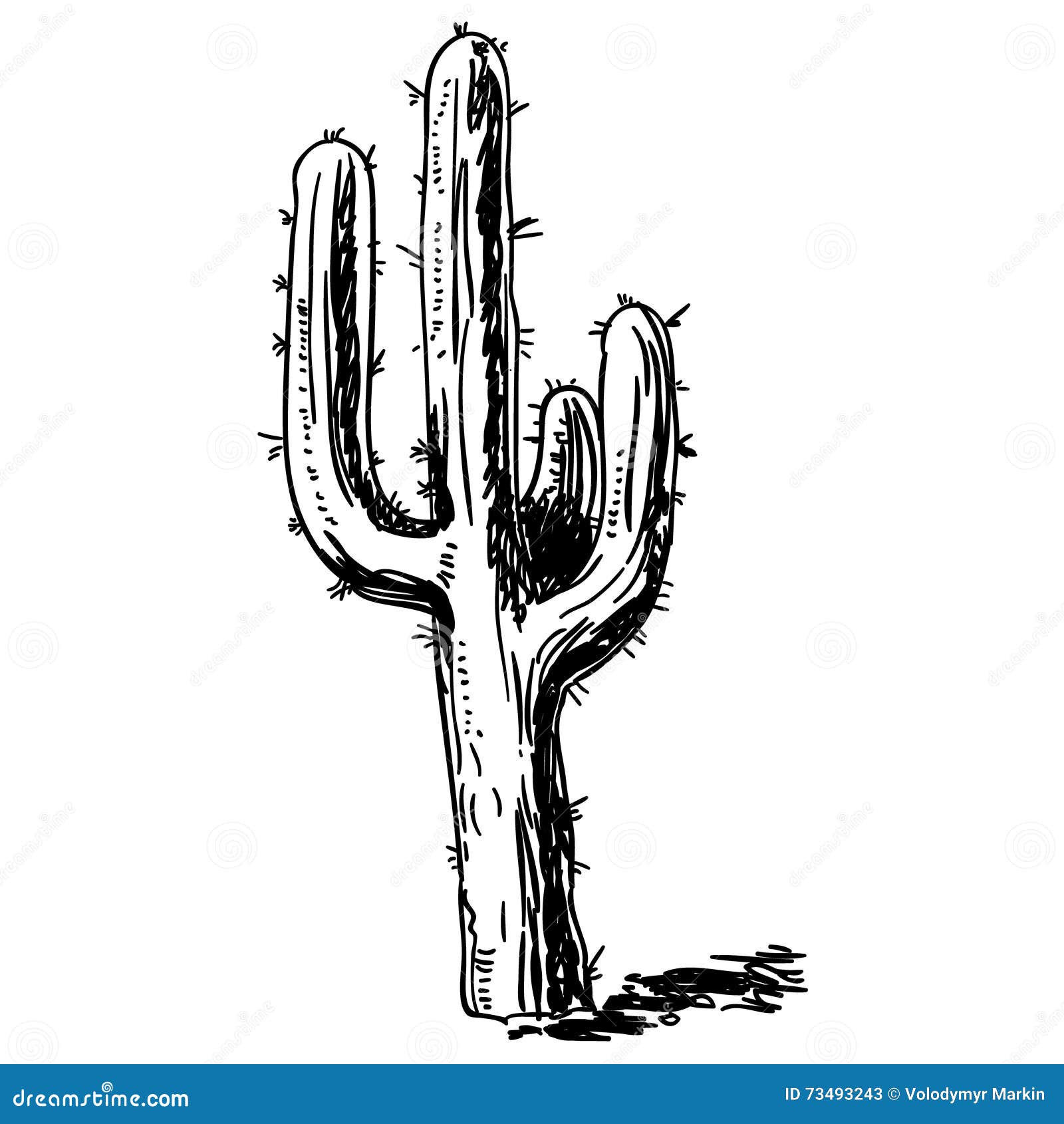 Cactus Hand-drawn. Vector Illustration Stock Vector - Illustration of ...
