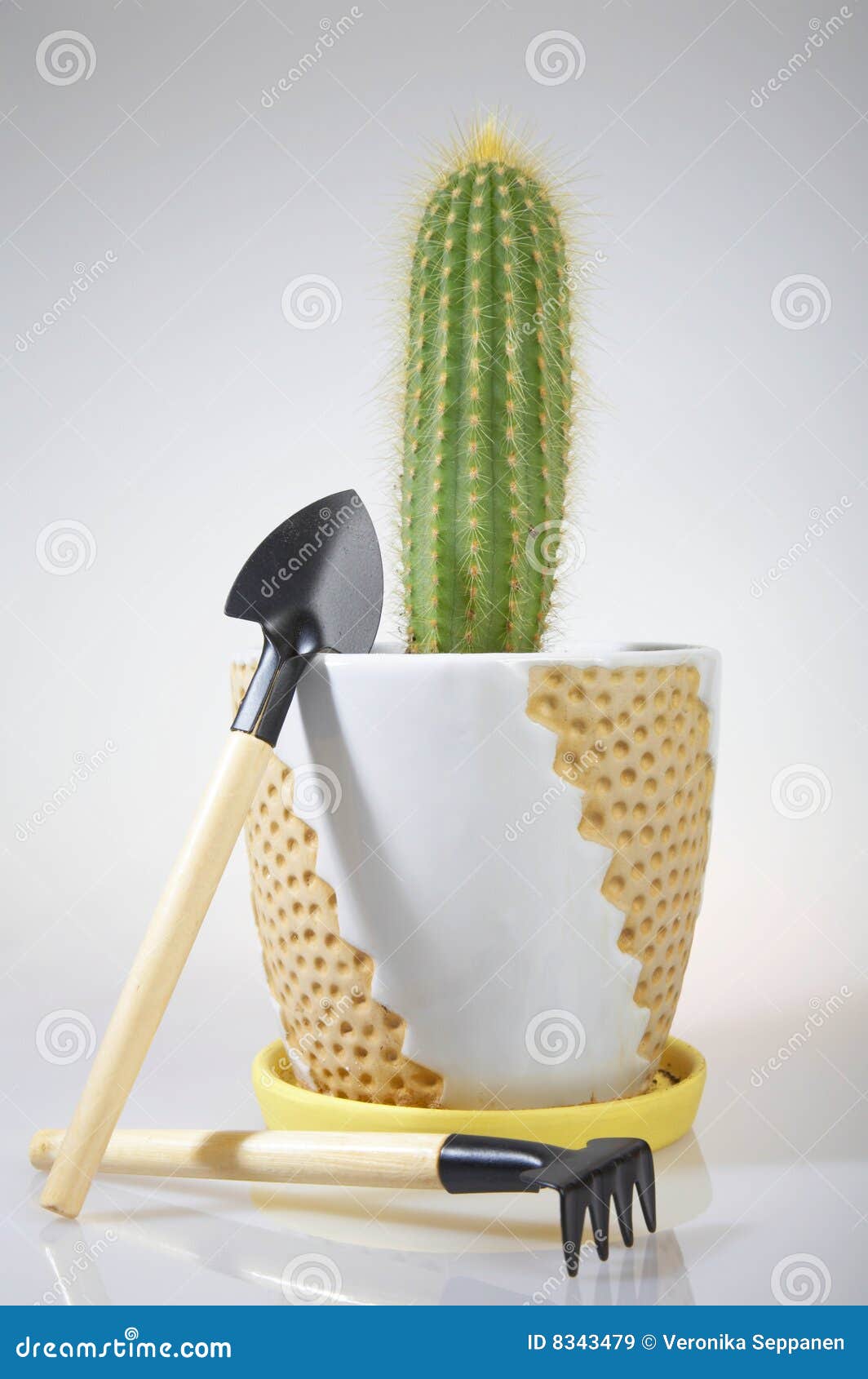 Cactus and Hand Gardening Tools Stock Image - Image of flower, color ...