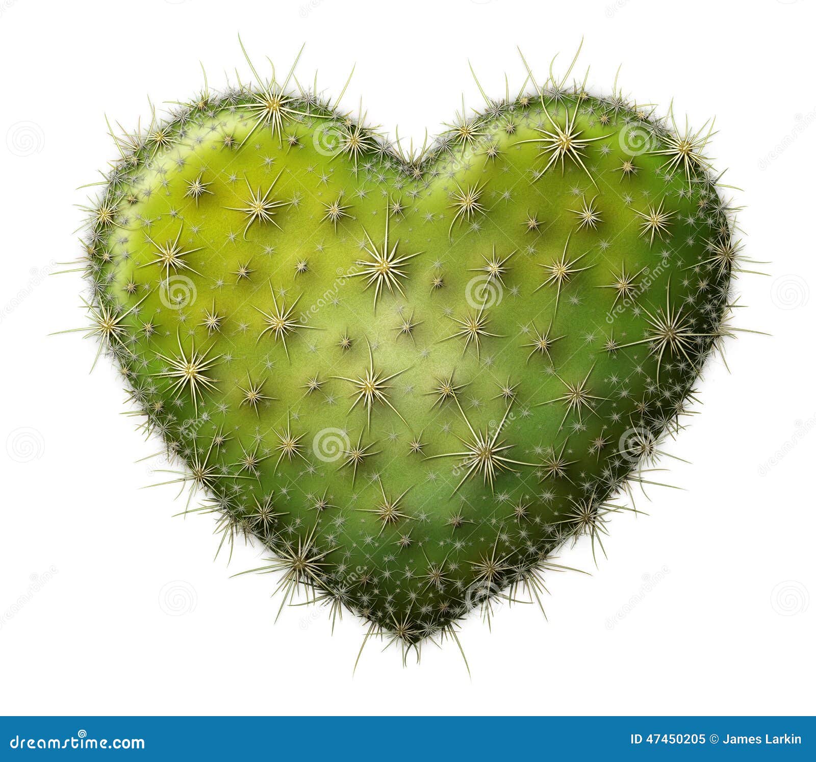 Cactus Heart stock image. Image of heart, cactus, valentine - 47450205