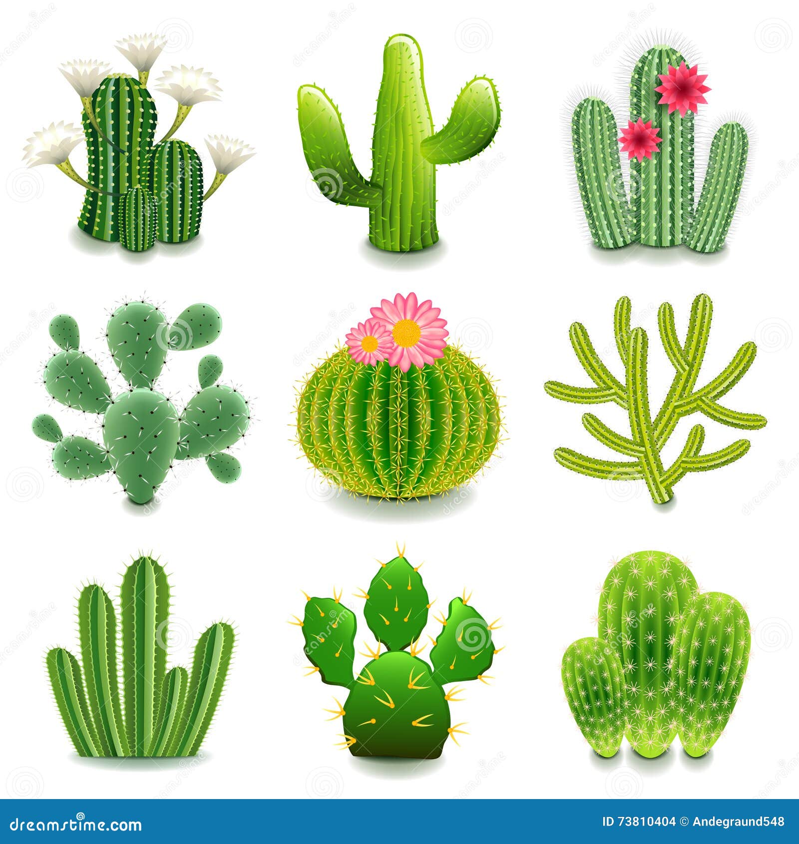 Cactus icons vector set stock vector. Illustration of echinocactus ...
