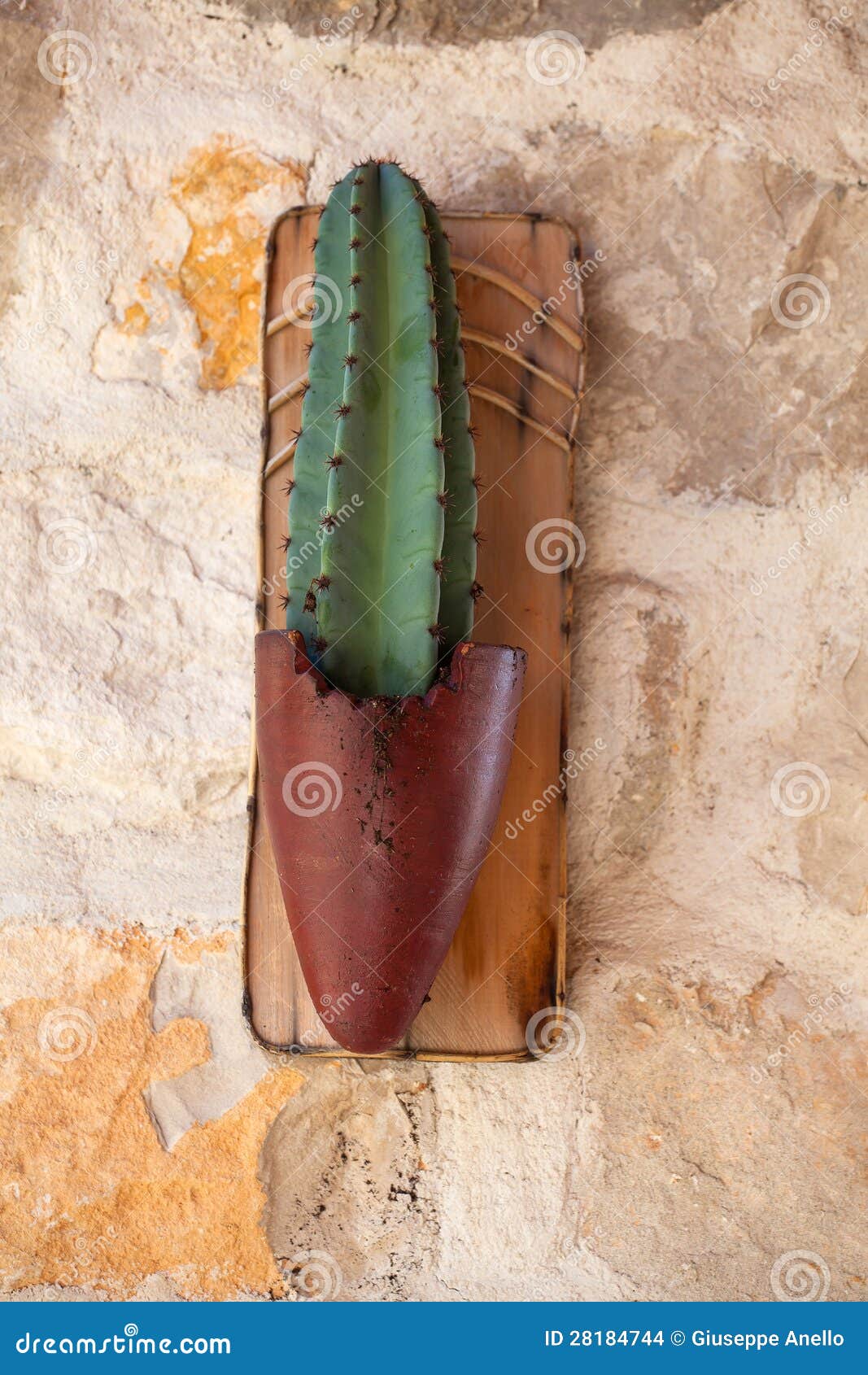 Cactus inside a pot stock photo. Image of green, vertical - 28184744