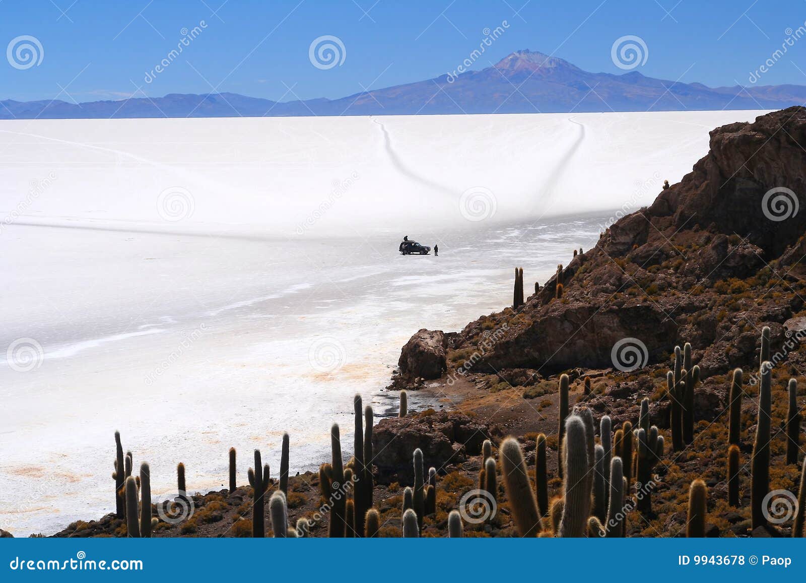 Cactus Island stock photo. Image of horizon, exploration - 9943678