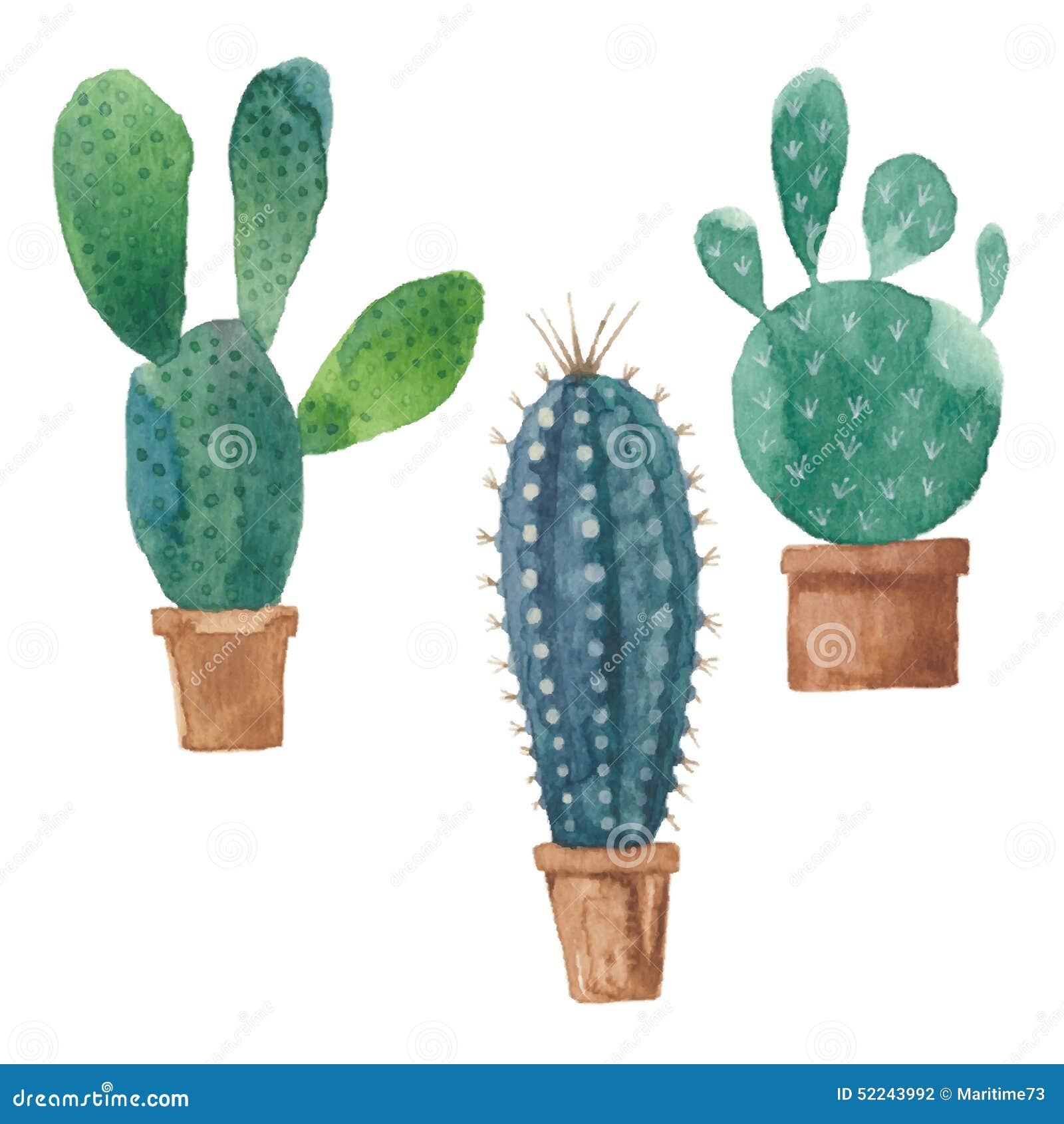 Cactus Isolated on White Background. Vector, Watercolor Hand Dra Stock ...