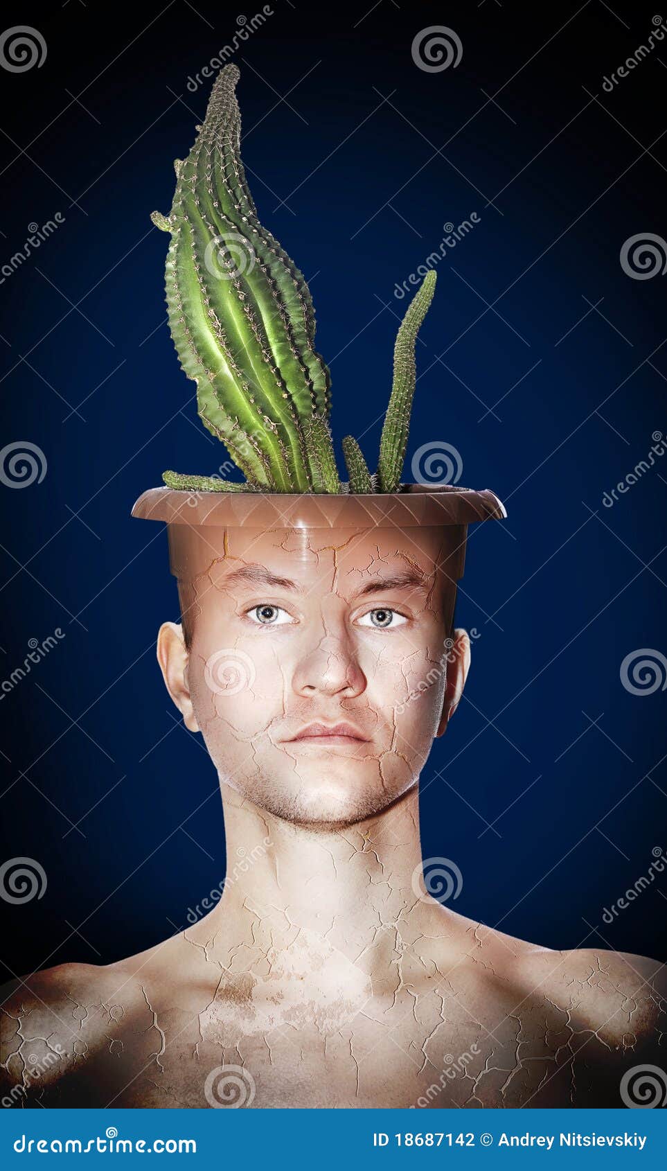 Cactus man blue stock photo. Image of dirt, environment - 18687142