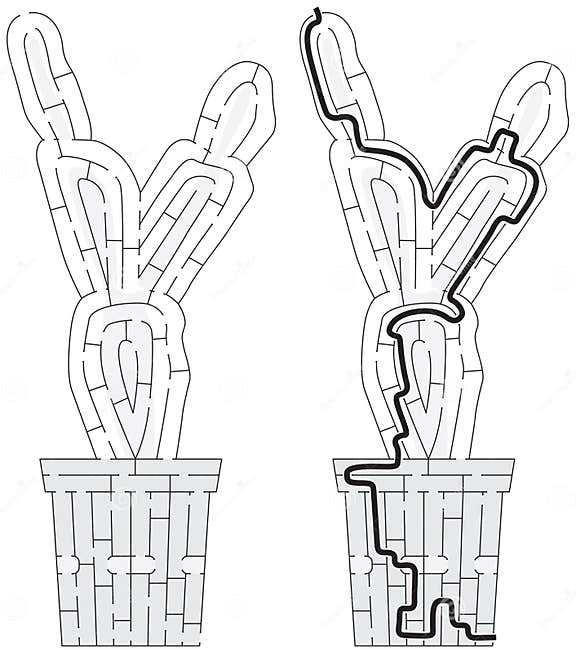 Cactus maze stock vector. Illustration of cactus, path - 200087489