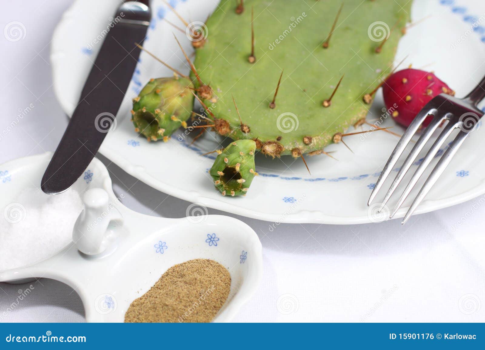 Cactus meal stock photo. Image of junk, dishware, silverware - 15901176