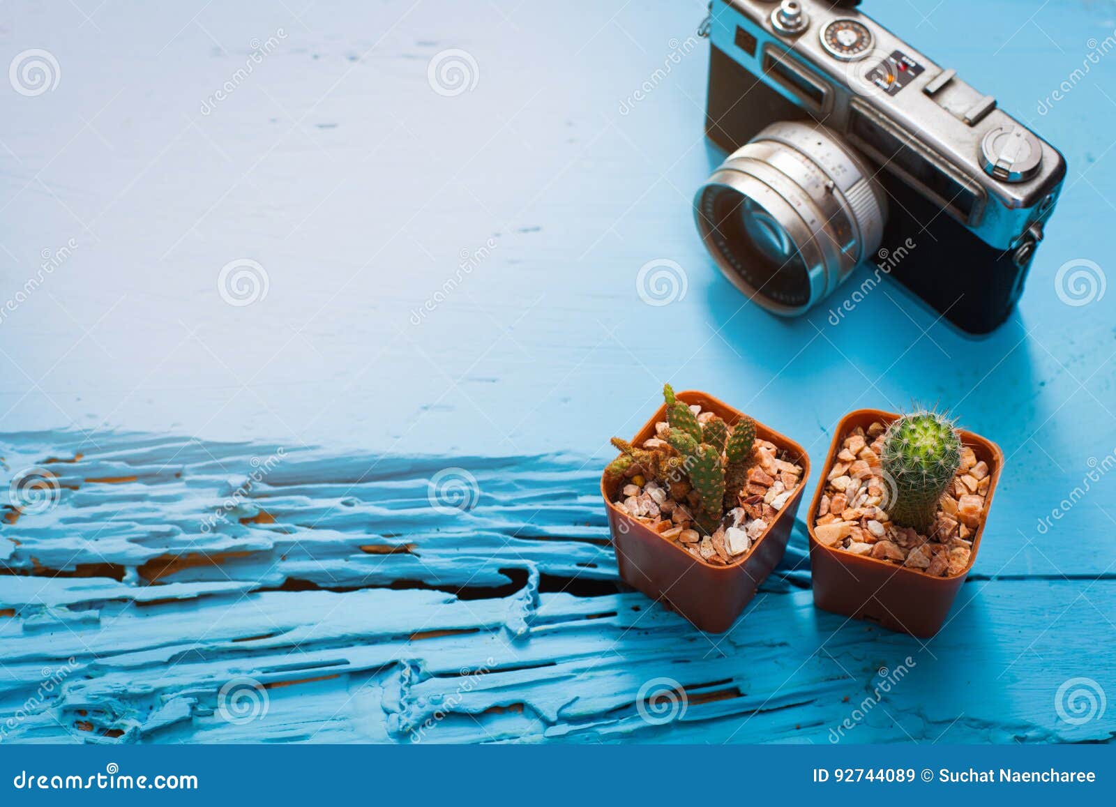 Cactus and odl camera stock image. Image of conceptual - 92744089