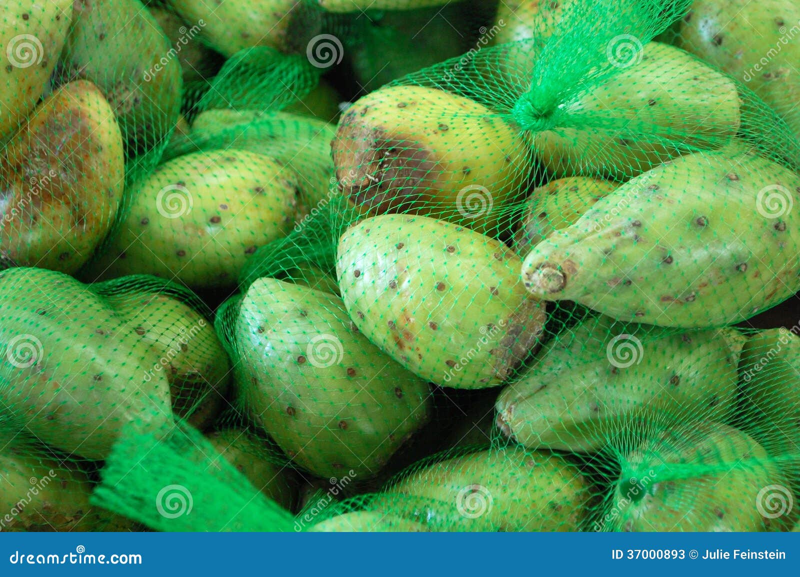 Cactus Pears stock image. Image of green, spines, sweet - 37000893