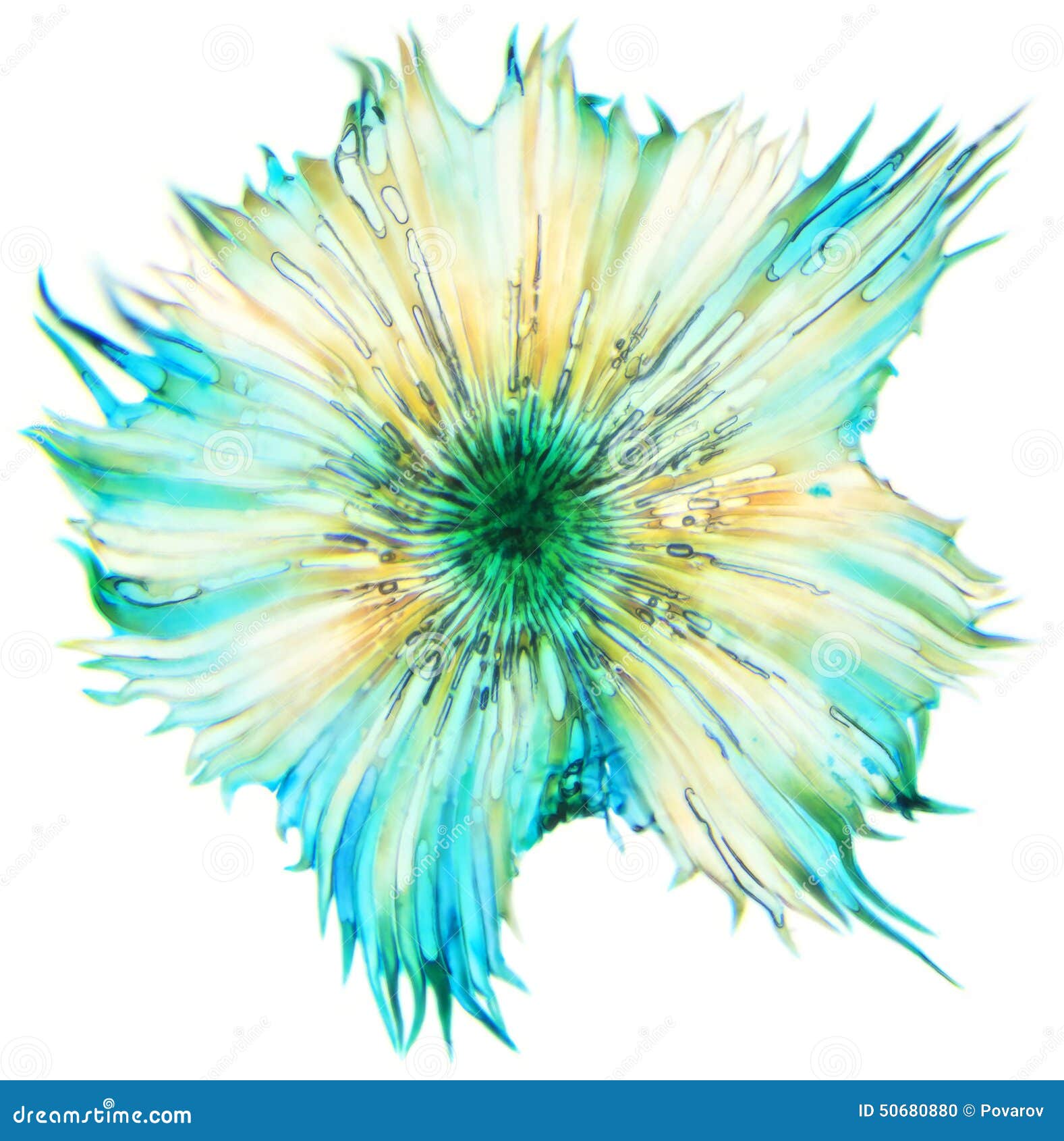 Cactus Pollen Under a Microscope, (Stellato-Pilosus W.M.) Stock Photo ...