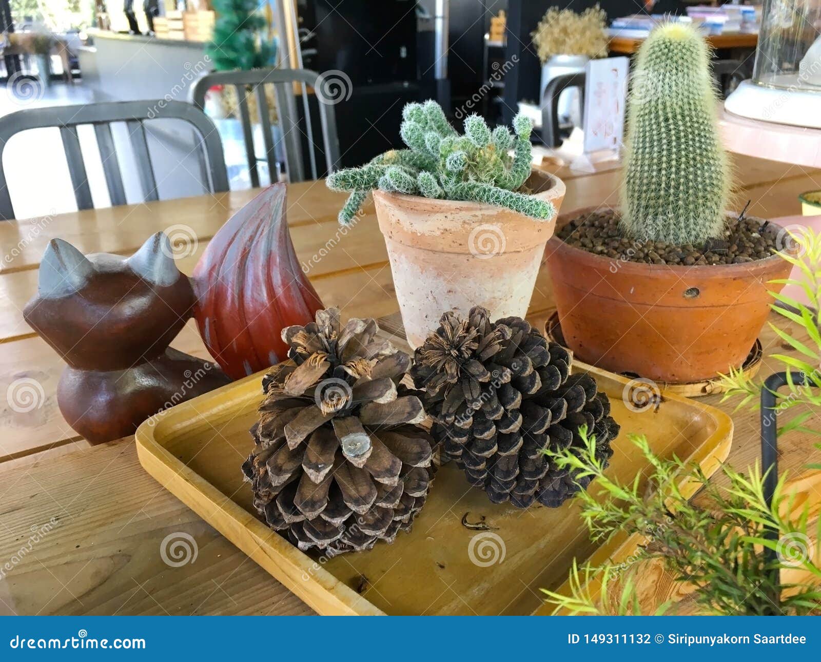 Cactus Pot Inside Coffee Shop Stock Photo - Image of plant, fresh ...