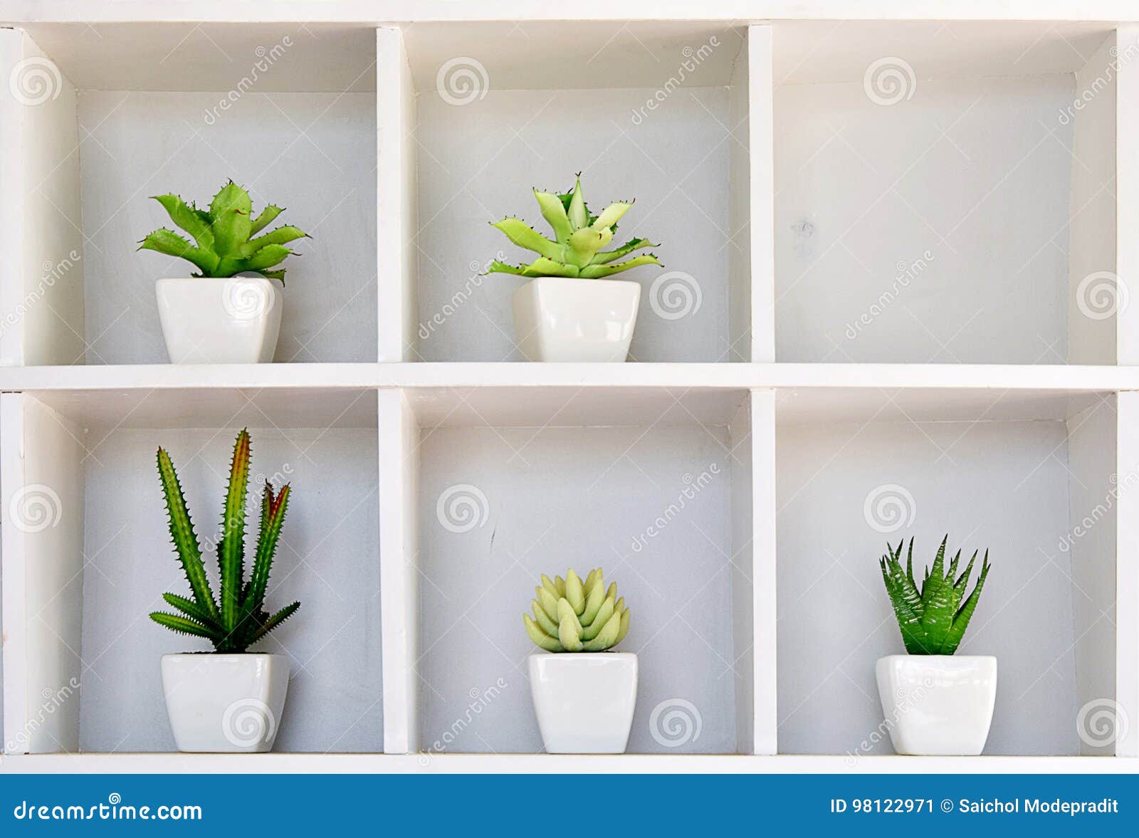 Cactus in pot on the shelf stock image. Image of place - 98122971