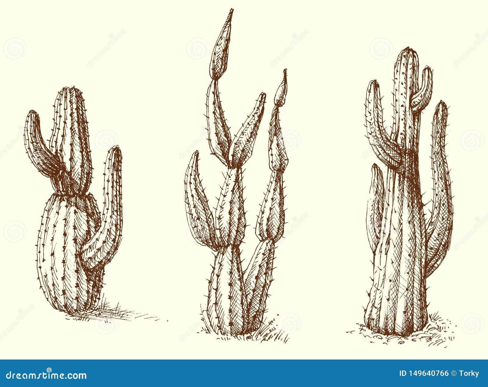Cactus set hand drawing stock vector. Illustration of artistic - 149640766