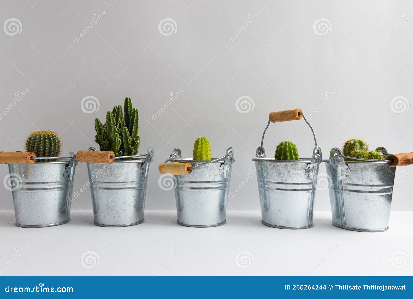 Cactus on the Table with the Background for Use As Wallpaper Stock ...
