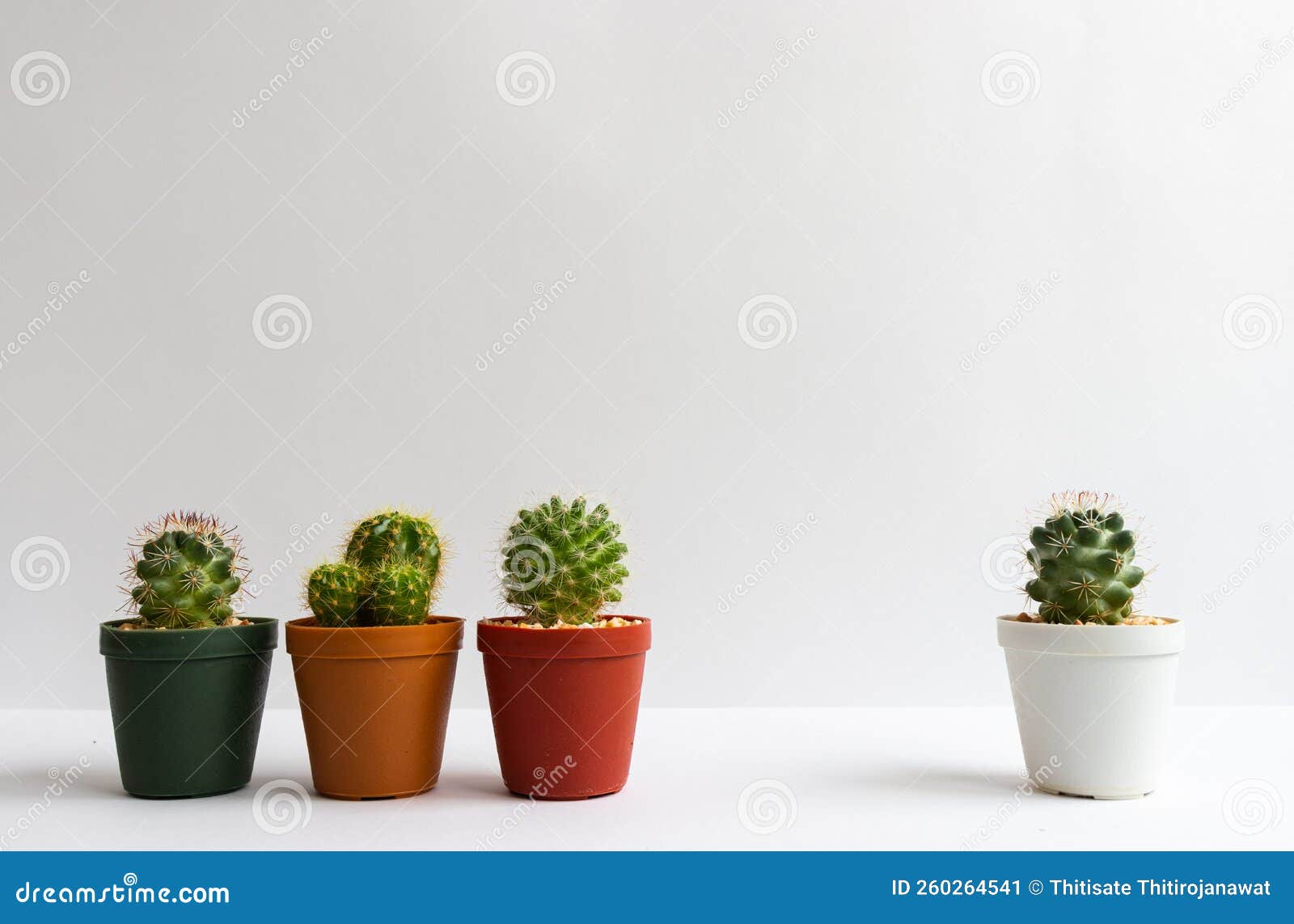 Cactus on the Table with the Background for Use As Wallpaper Stock ...