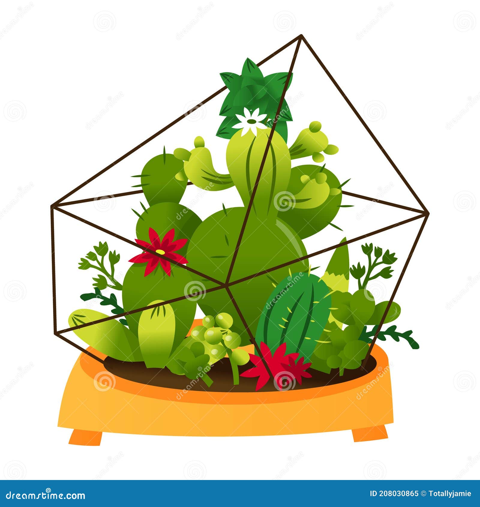 Cactus Terrarium stock illustration. Illustration of nature - 208030865