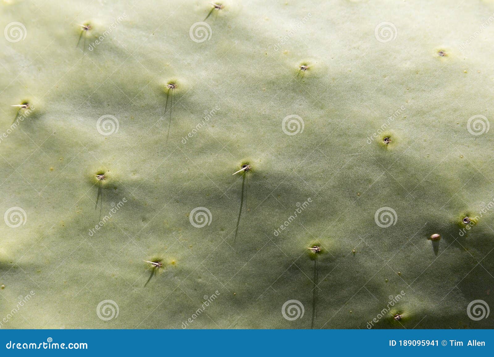 Micro-spikes On Silicon Produced By Laser Beam Royalty-Free Stock Photo ...