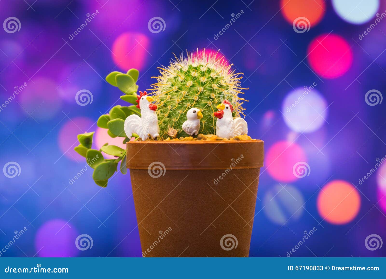 A Cactus Chicken In A Glass Royalty-Free Stock Photo | CartoonDealer ...