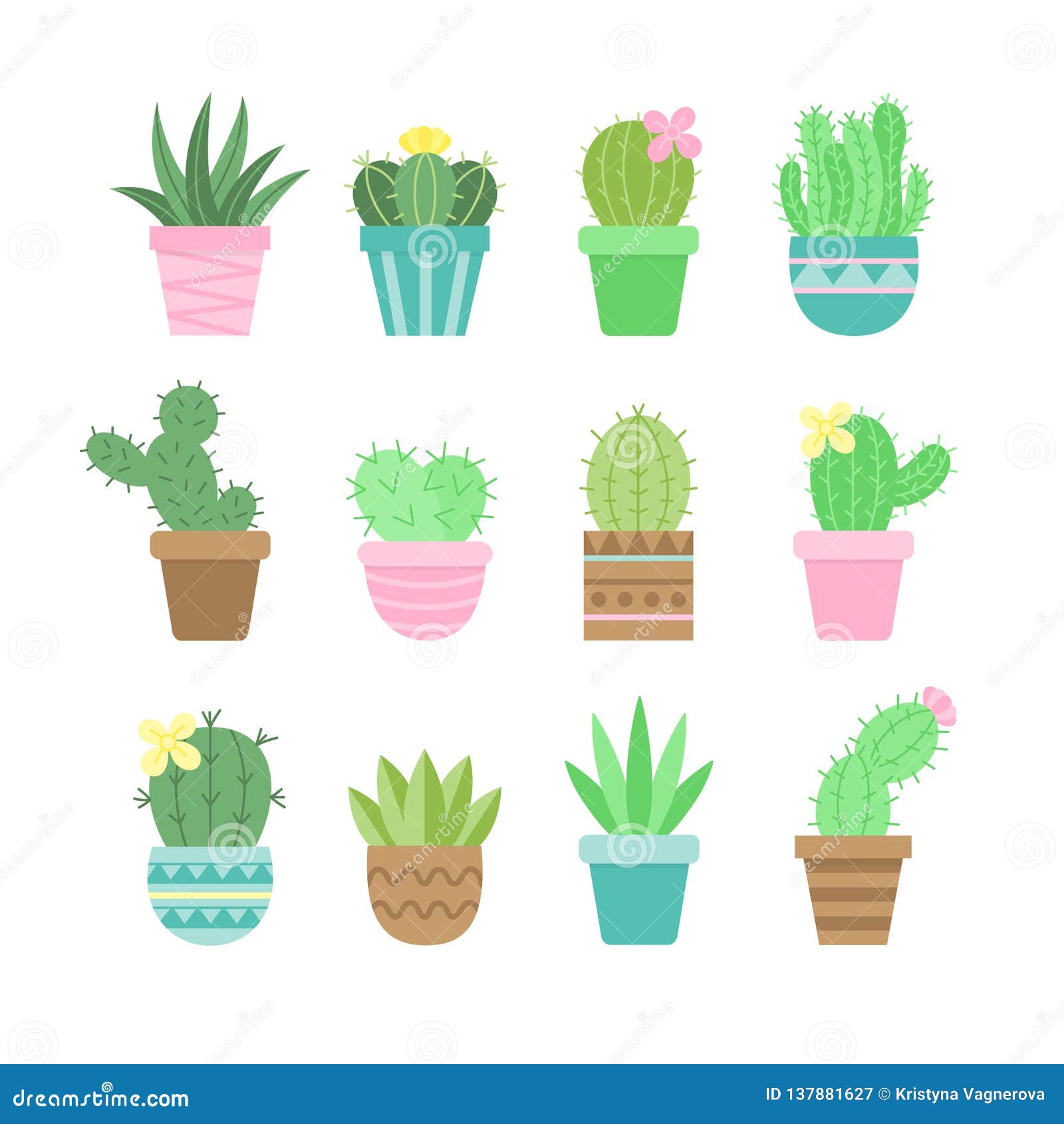 Cactus vector 2d top down - afroinriko