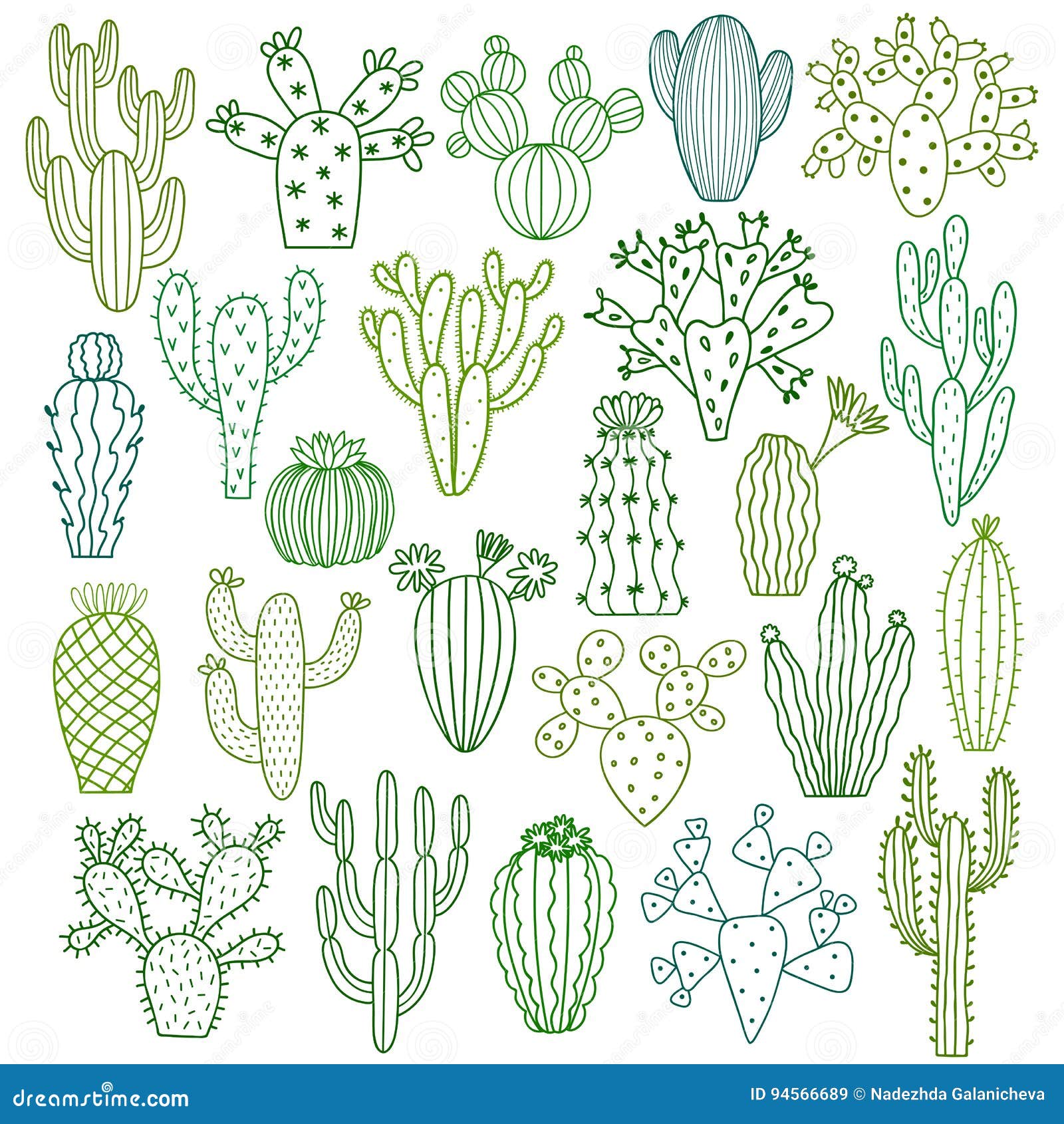 Cactus Vector Illustrations. Hand Drawn Cactus Plants Set Stock Vector ...