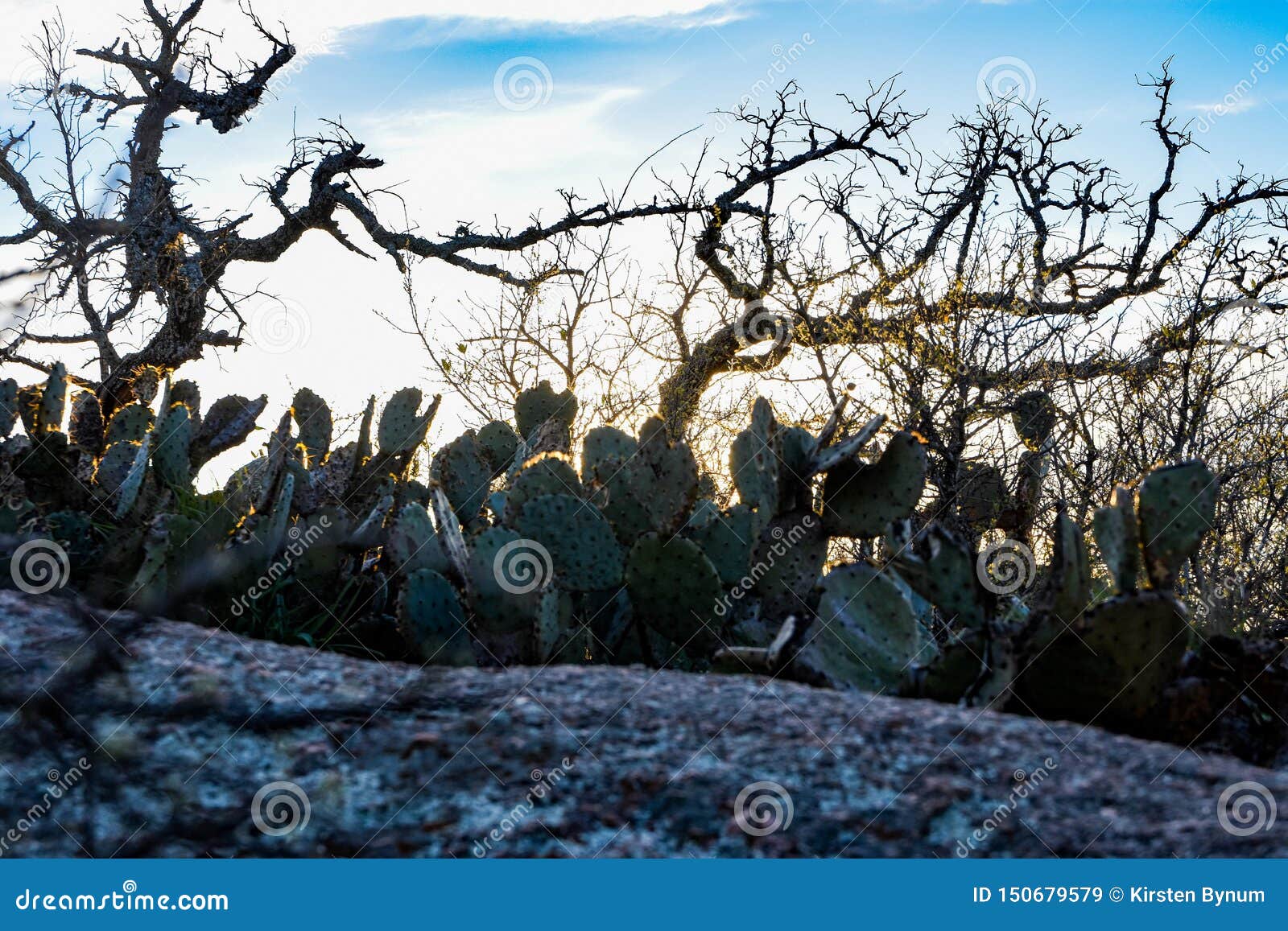 Dusky Hue Photos - Free & Royalty-Free Stock Photos from Dreamstime