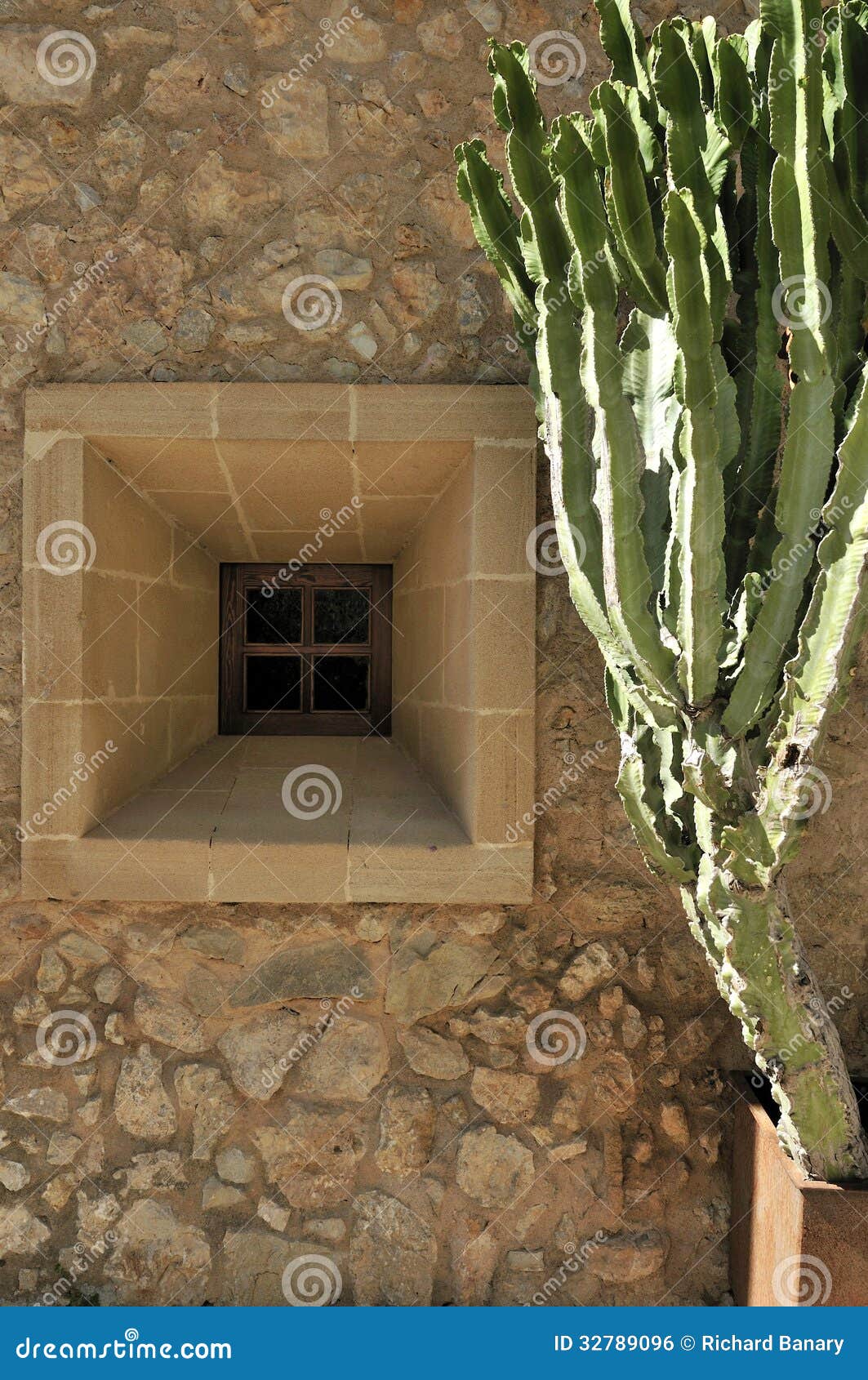 Cactus at Window stock photo. Image of mallorca, lighted - 32789096