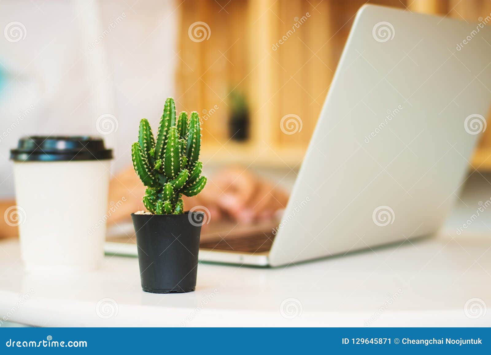 Cactus and Women and Laptops. Stock Image - Image of working, hands ...