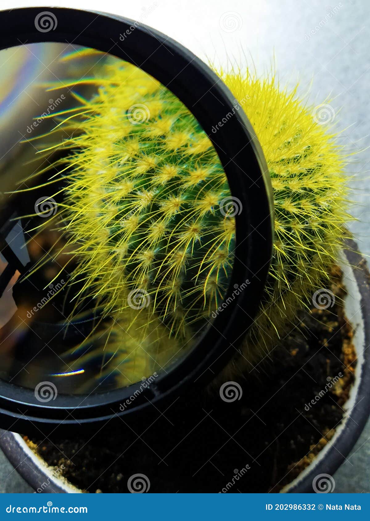 Royalty Free Images, Cartoons, Illustrations And Photos Designed By ...