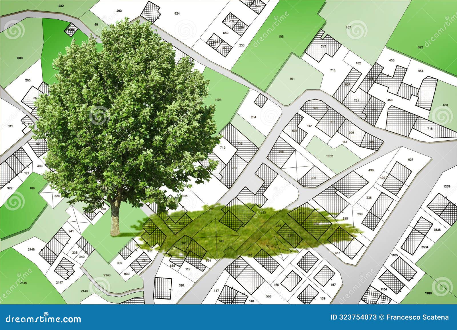 Cadastral Map and General Urban Plan with Lone Tree in a Rural Scene ...