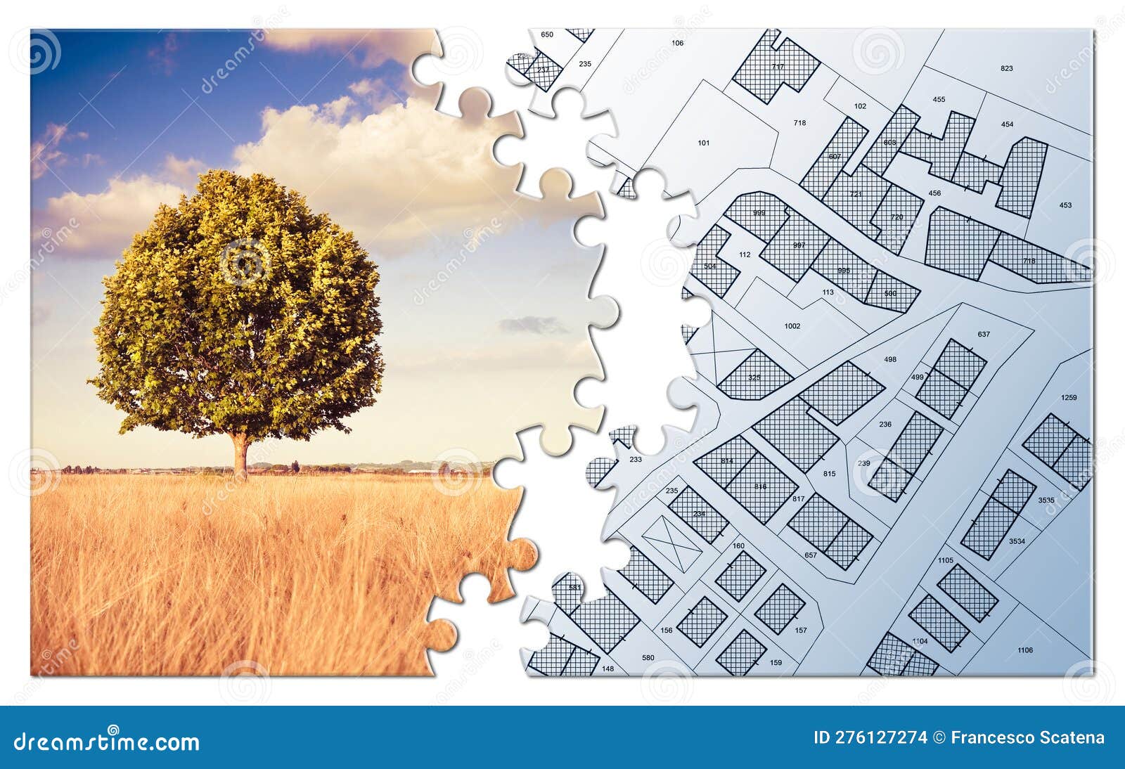 Cadastral Map with Lone Tree on a Rural Scene - Concept in Jigsaw ...