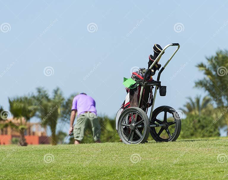 Caddy on a Golf Course with Golfer Stock Image - Image of closeup ...