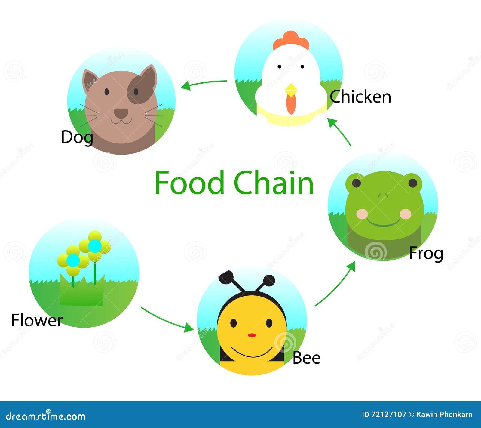 Desenhos De Cadeia Alimentar~desenhos de cadeia alimentar para imprimir ...