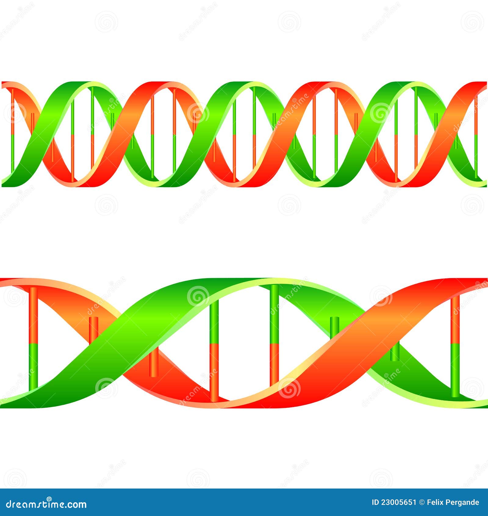 Cadena de la DNA ilustración del vector. Ilustración de ciencia - 23005651